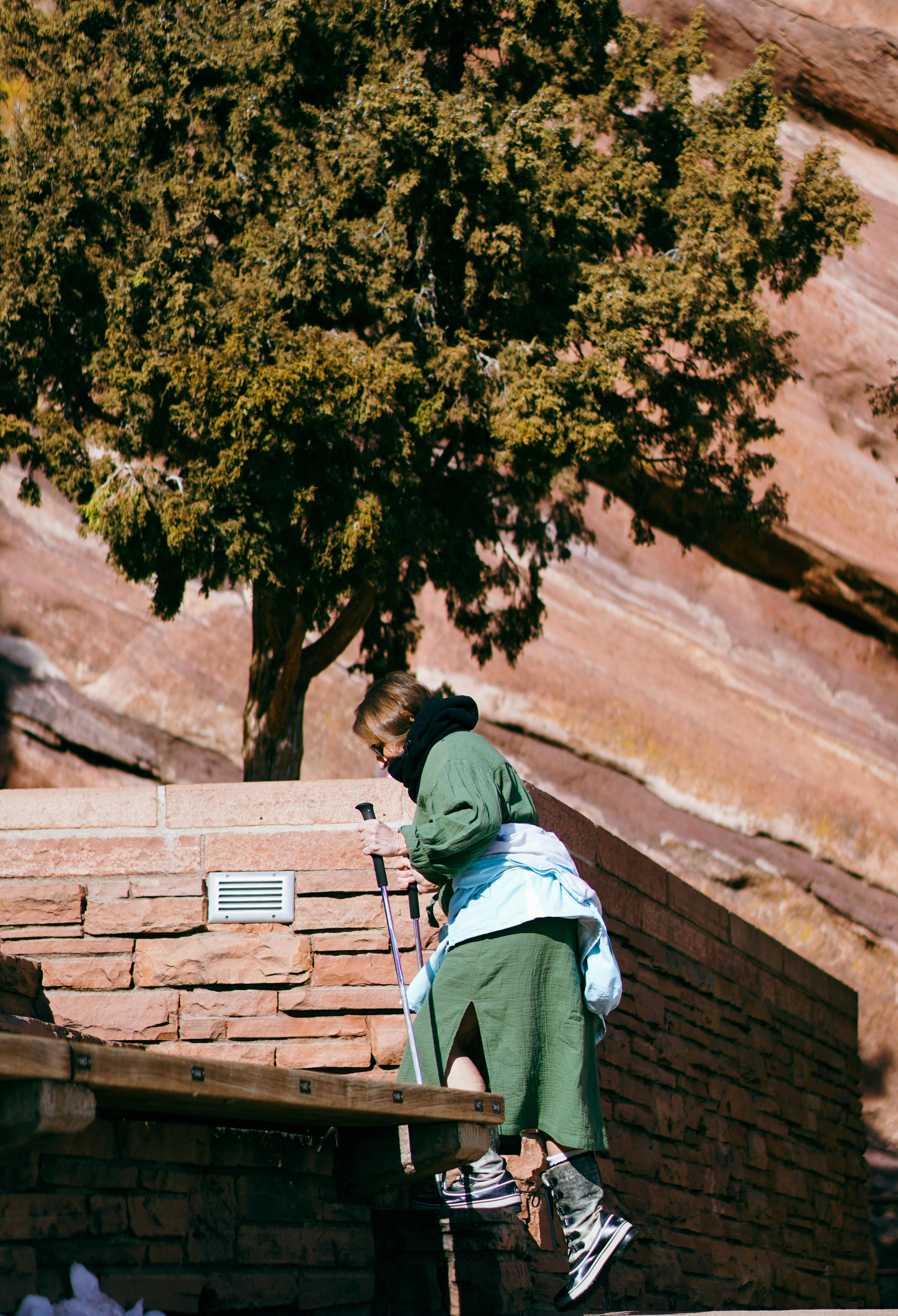 Green-robed climber on a sunlit brick ledge beneath a canyon tree