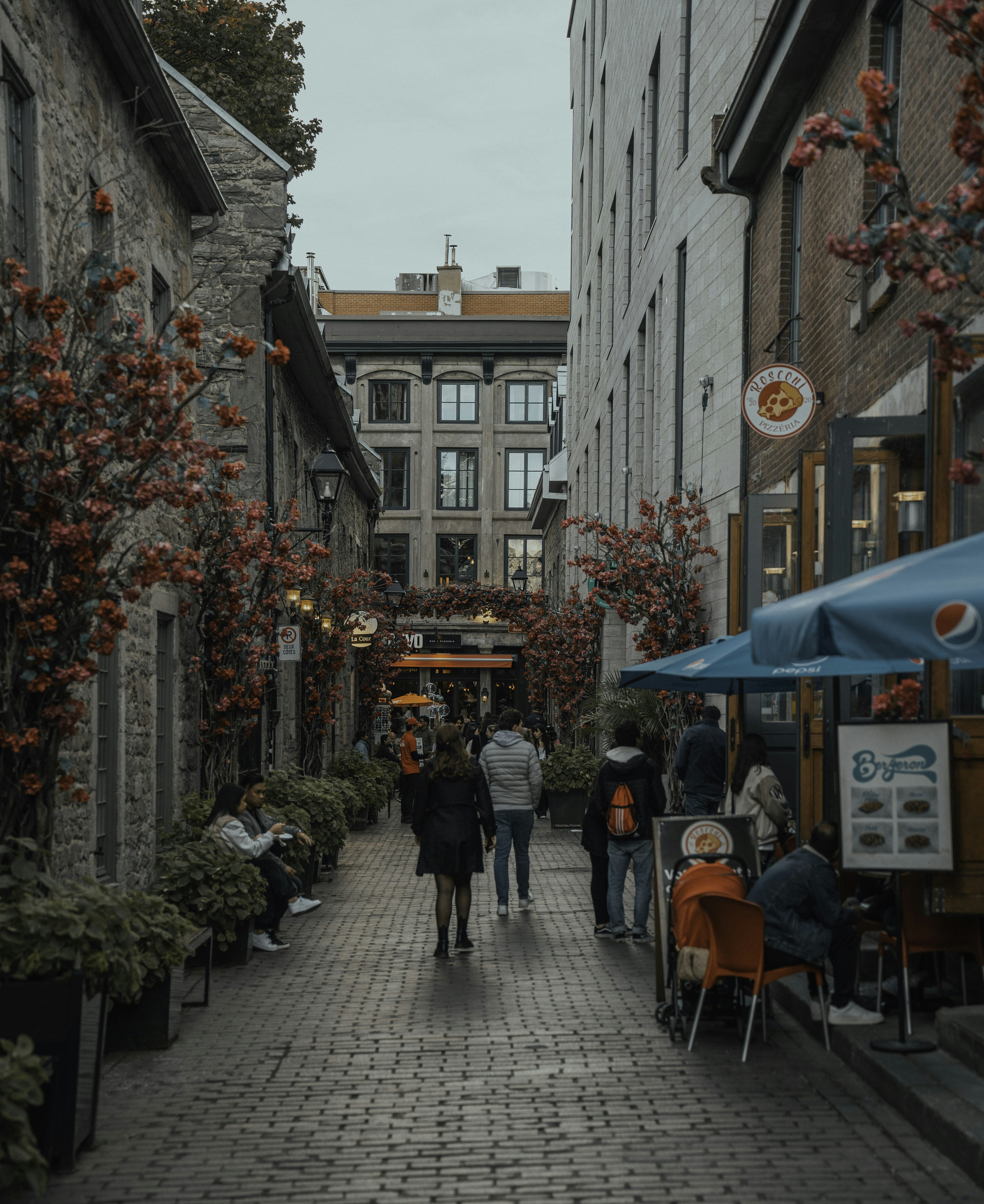 Cobbled Lane with Red-Leafed Foliage and a Café Terrace