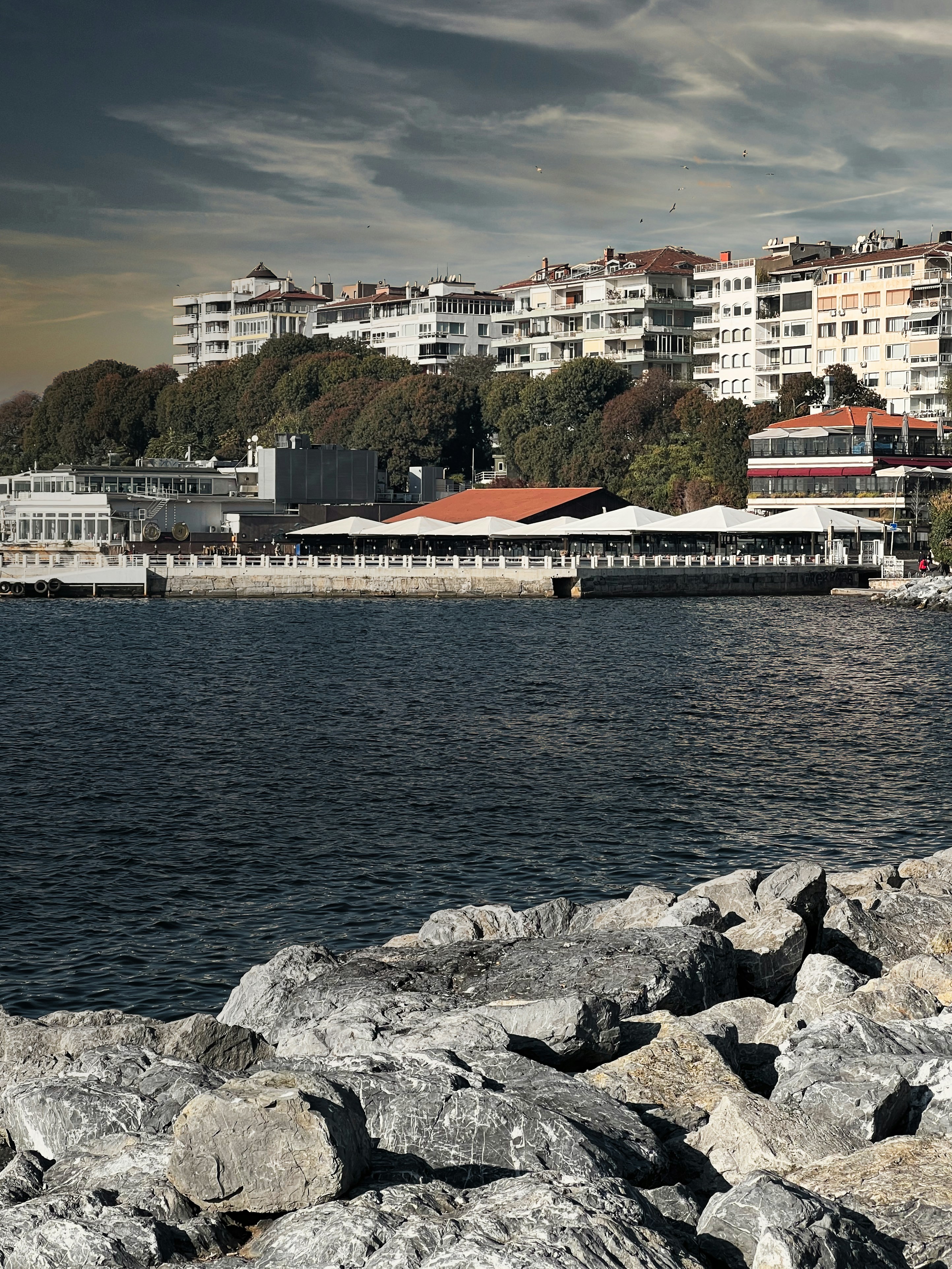 Photo by Esten Erbol with Apple iPhone 13 Pro Max