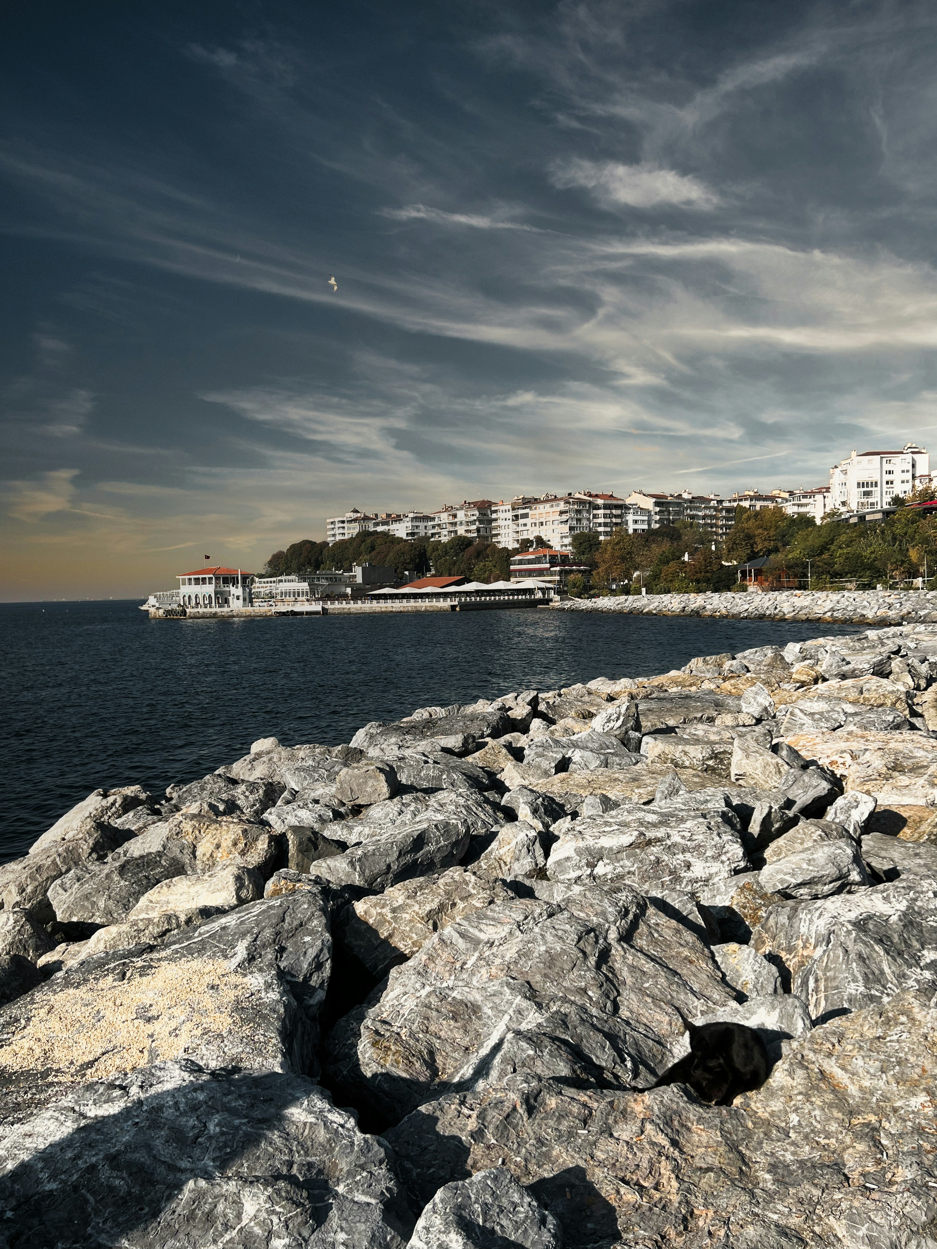 Photo by Esten Erbol with Apple iPhone 13 Pro Max