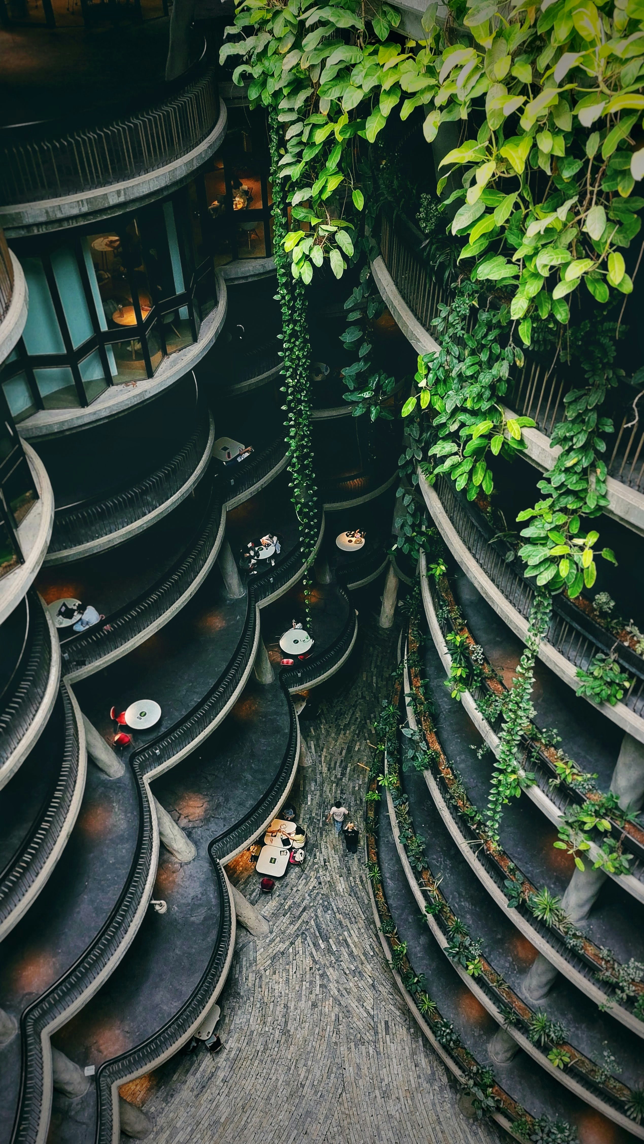 Photo by Joylynn Goh with Samsung Galaxy A52s