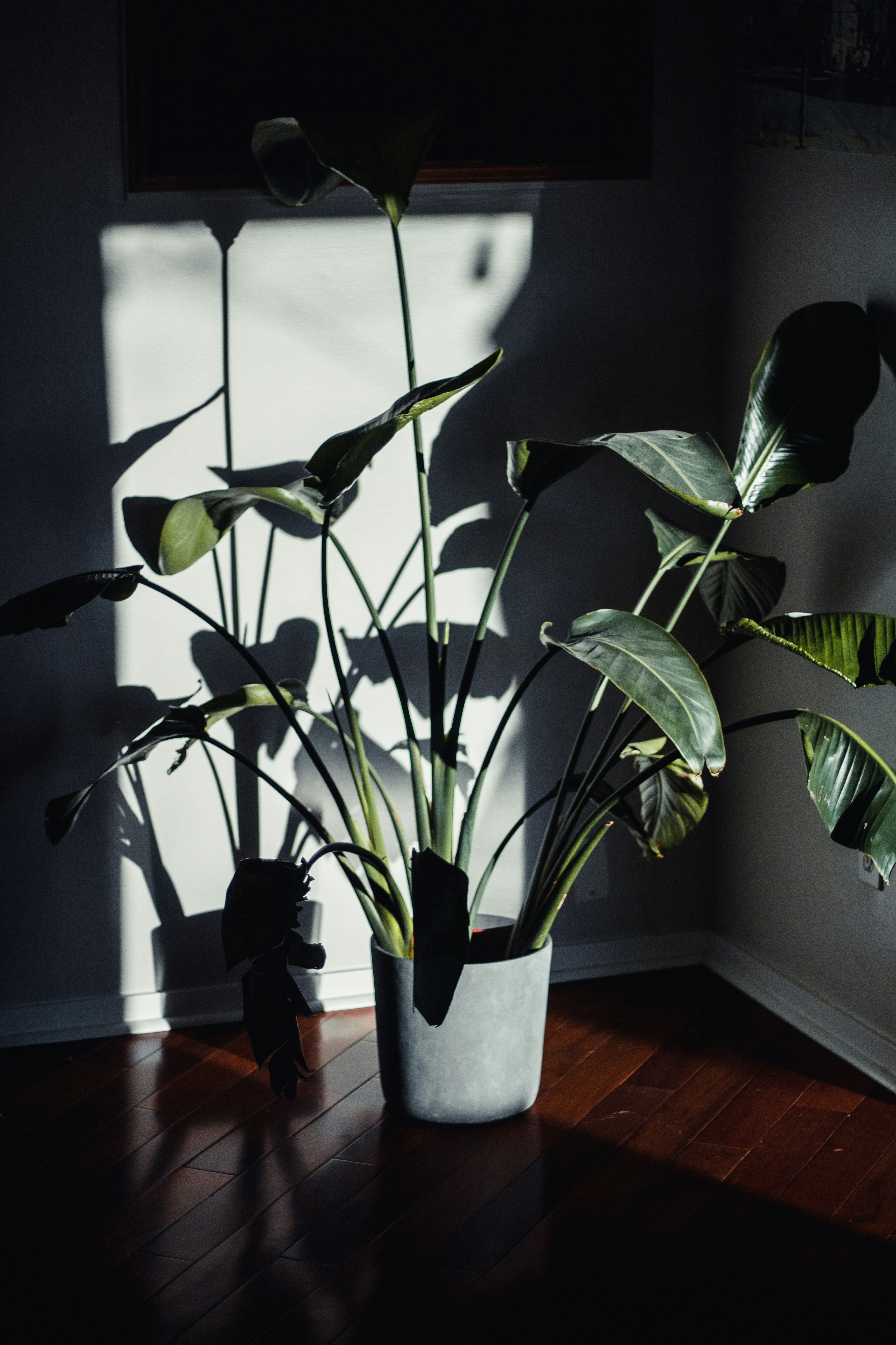 Photo by Sean Foster with Canon EOS 1300D