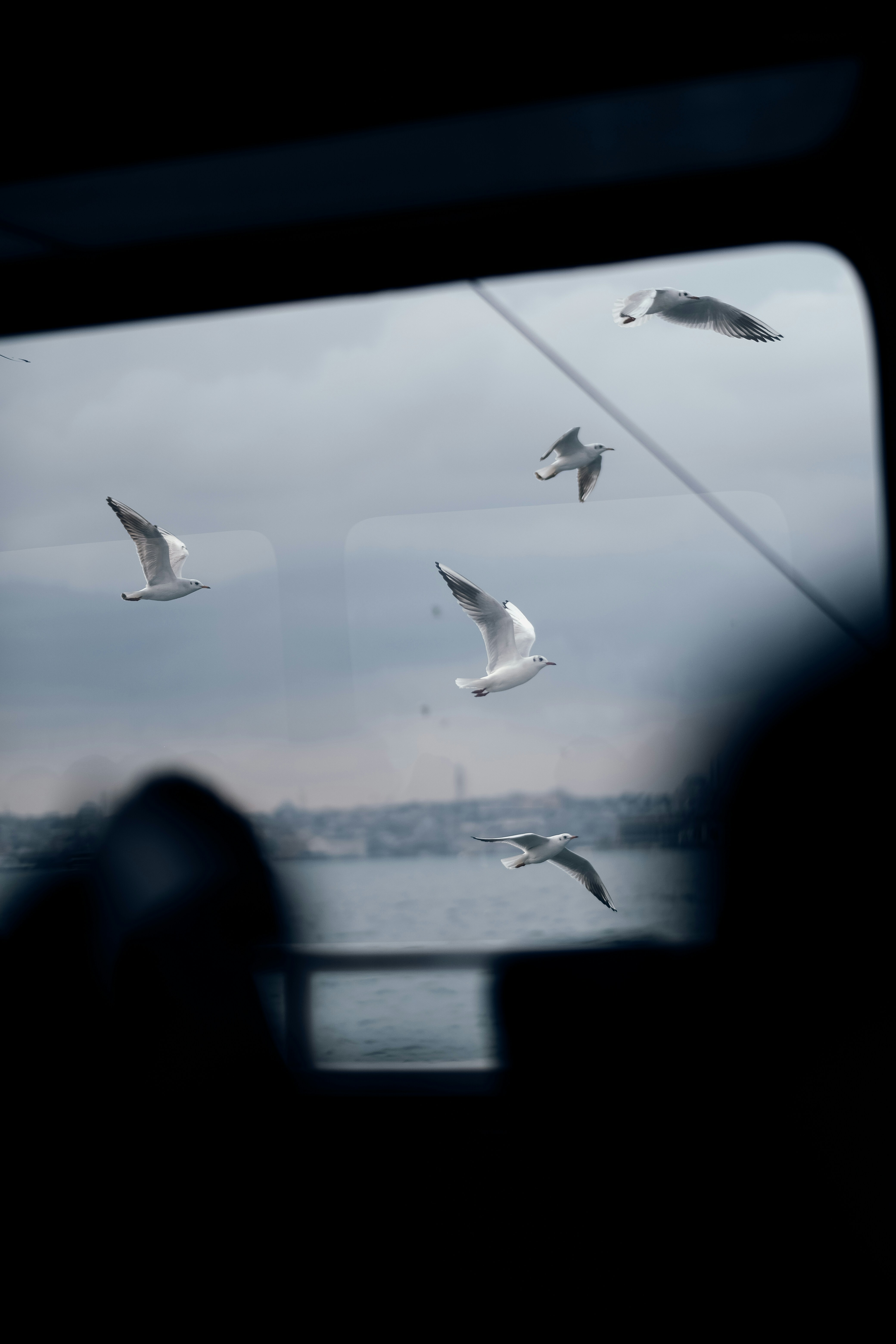 Flight Path Through a Framed Window