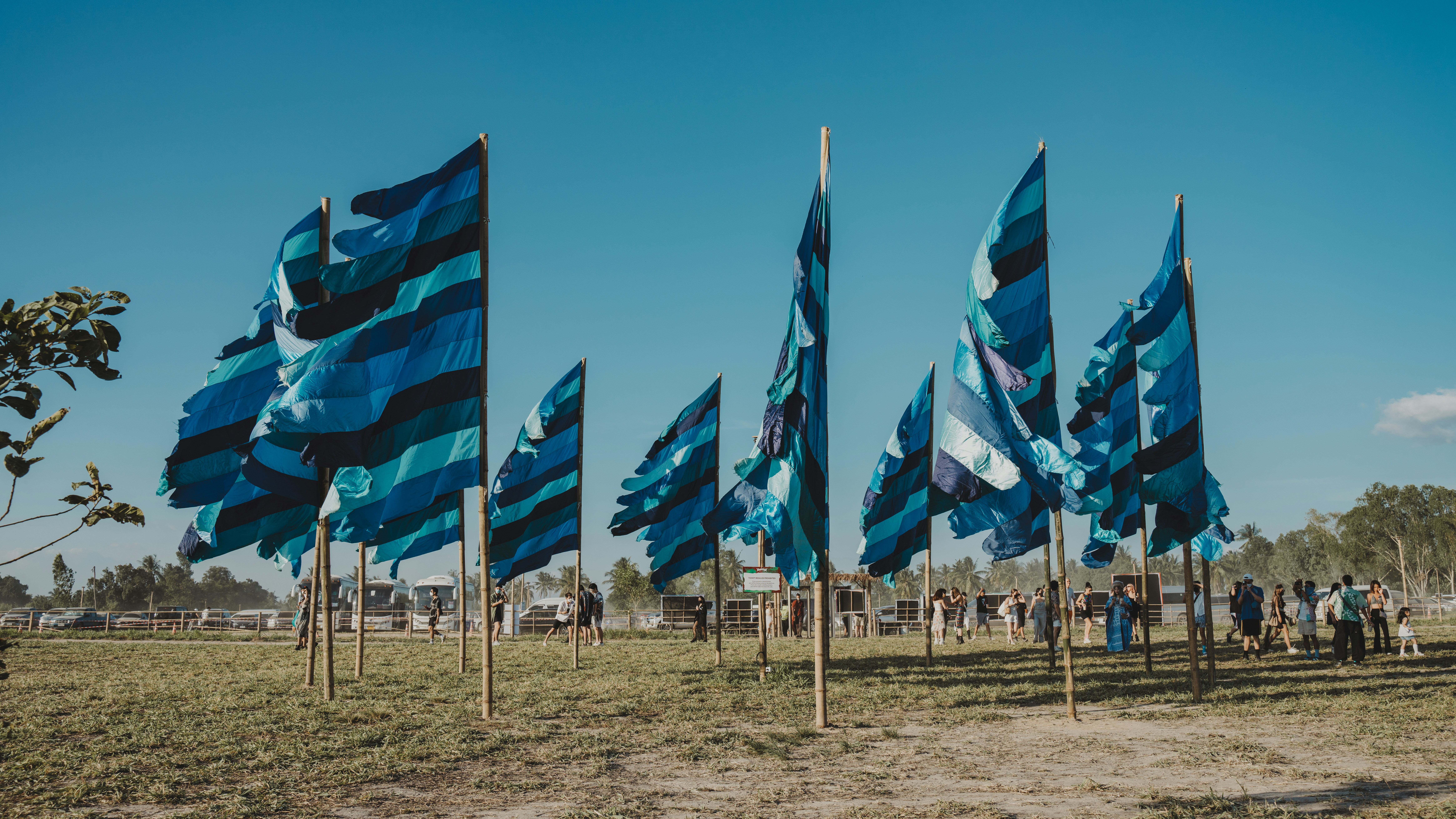 Photo by Bradrey Nassel with Sony Alpha 7R V