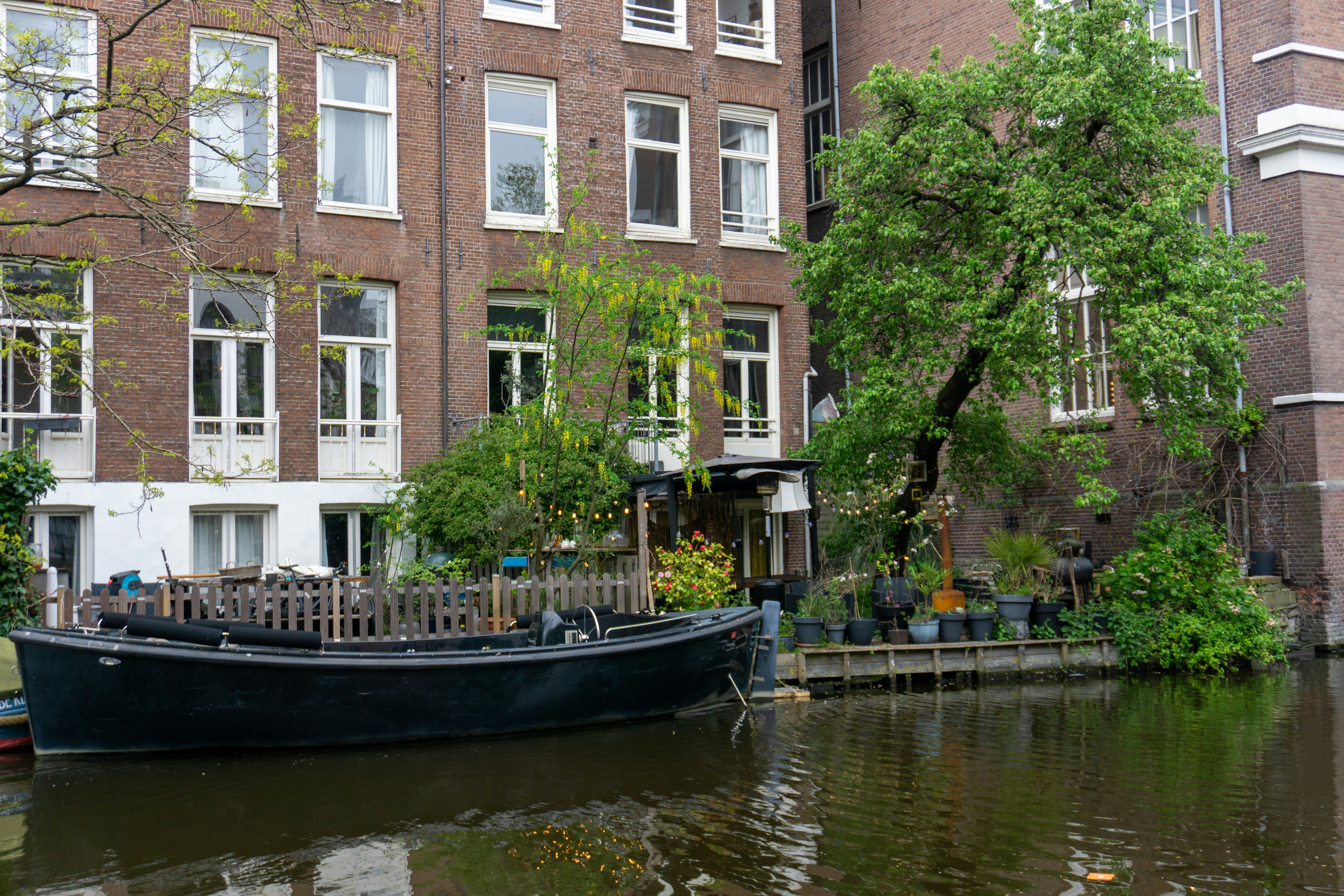 Photo by Andrei Popescu with Sony Alpha 6000