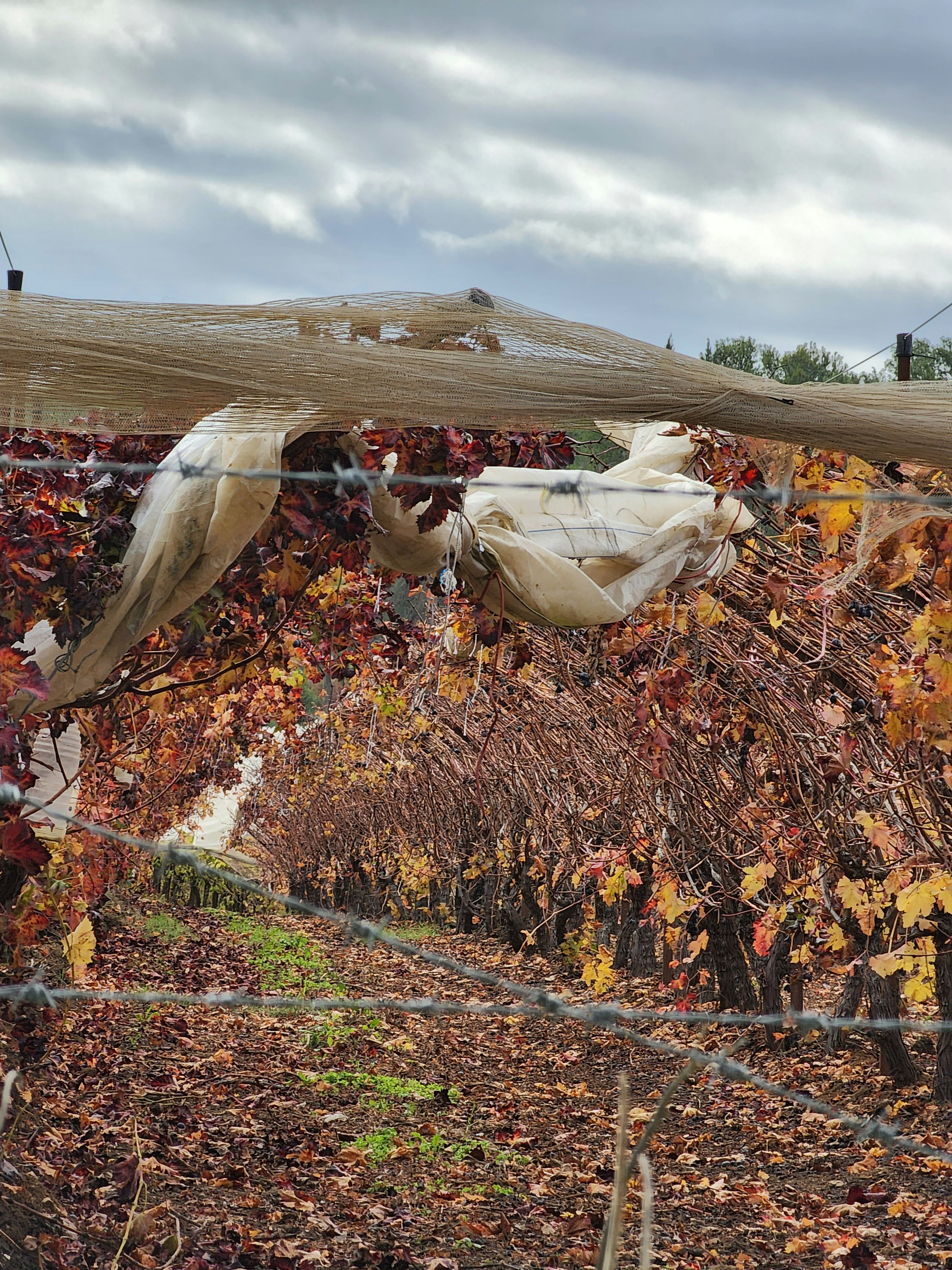 Eli Bensimon (@bents) | Communauté photos Unsplash