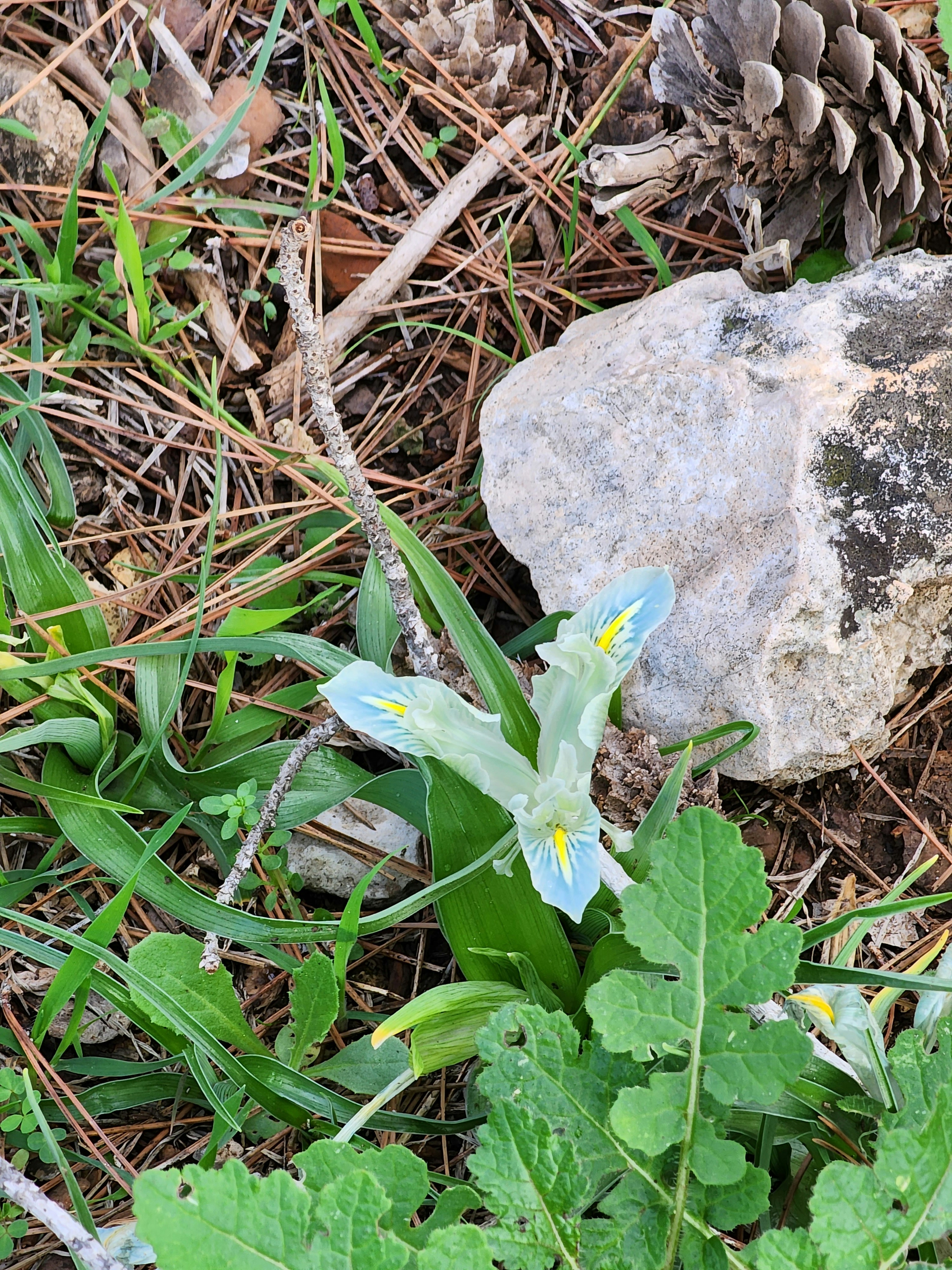 Eli Bensimon (@bents) | Communauté photos Unsplash