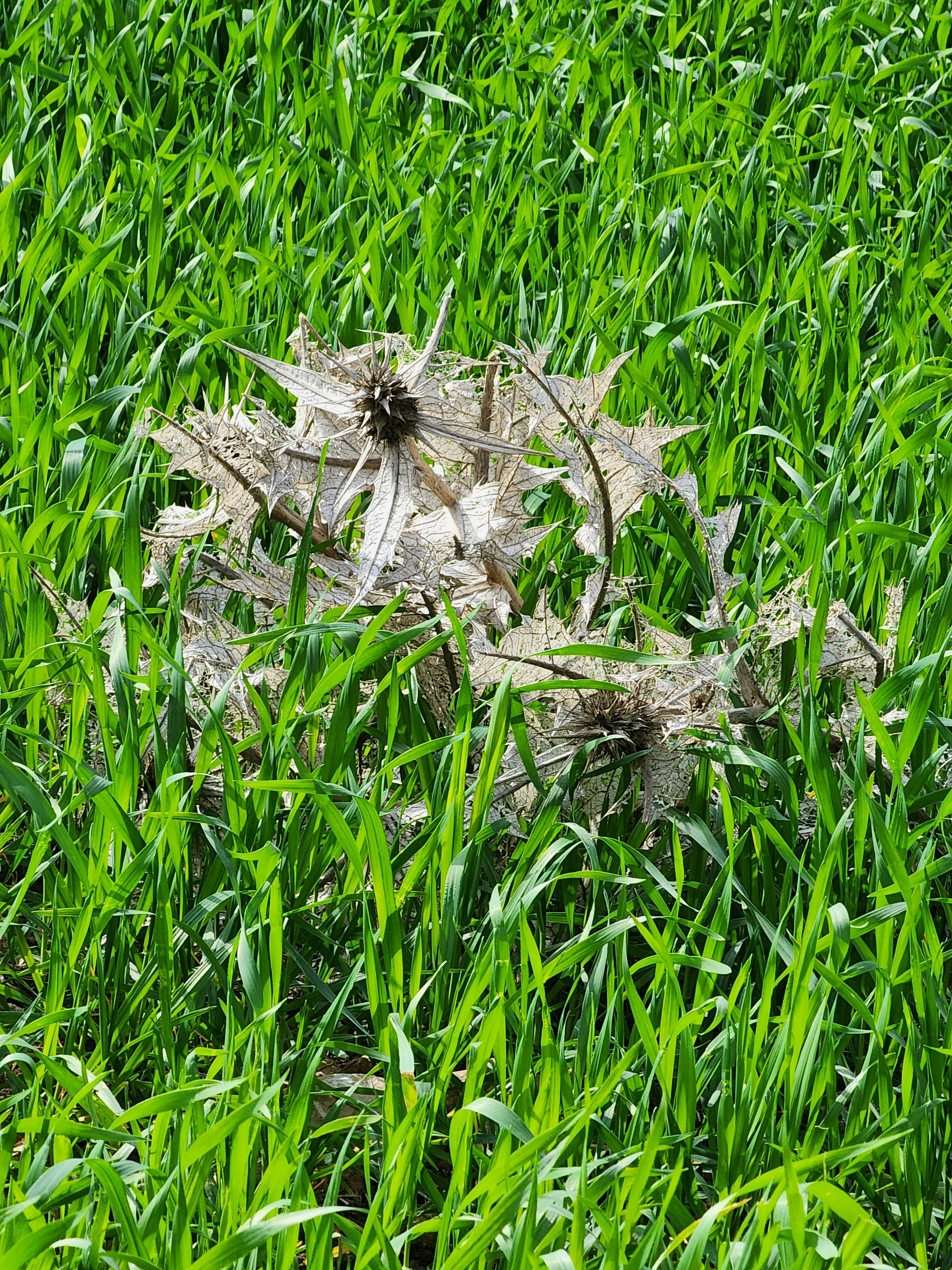 Eli Bensimon (@bents) | Communauté photos Unsplash