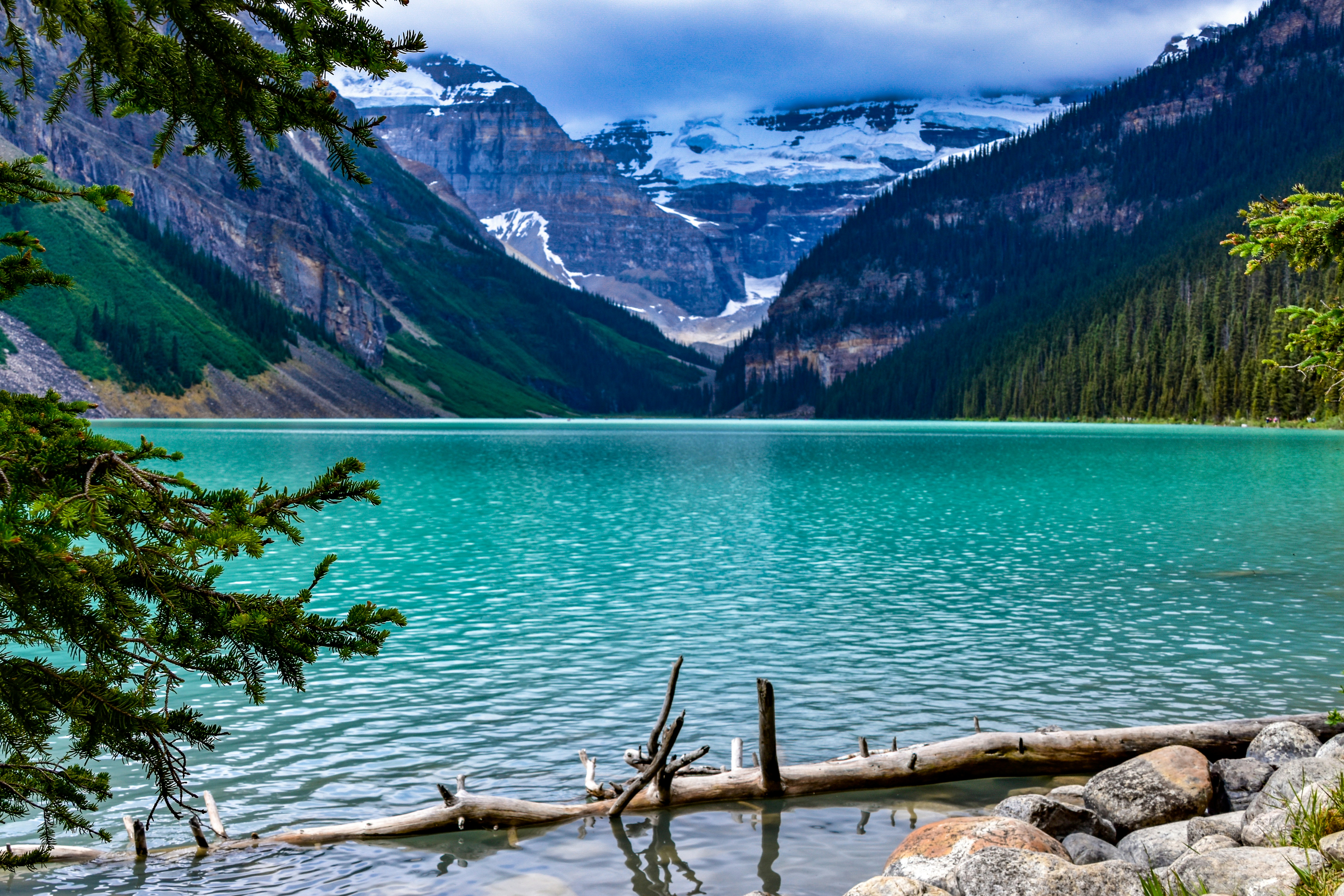 Stephen Crane (@cranesp) | Comunidad de fotos de Unsplash