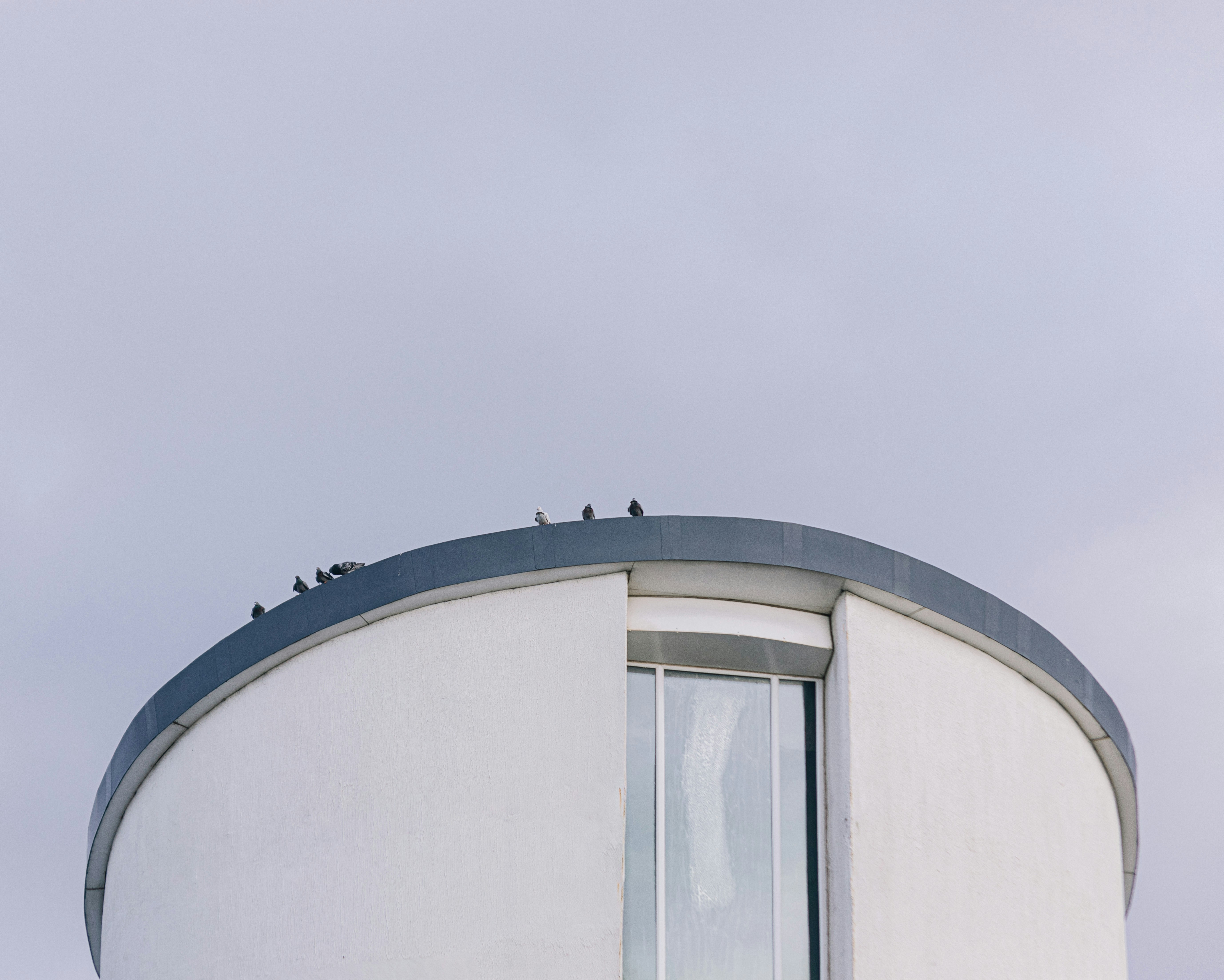 Rimline Birds on a Curved White Tower Under Gray Skies