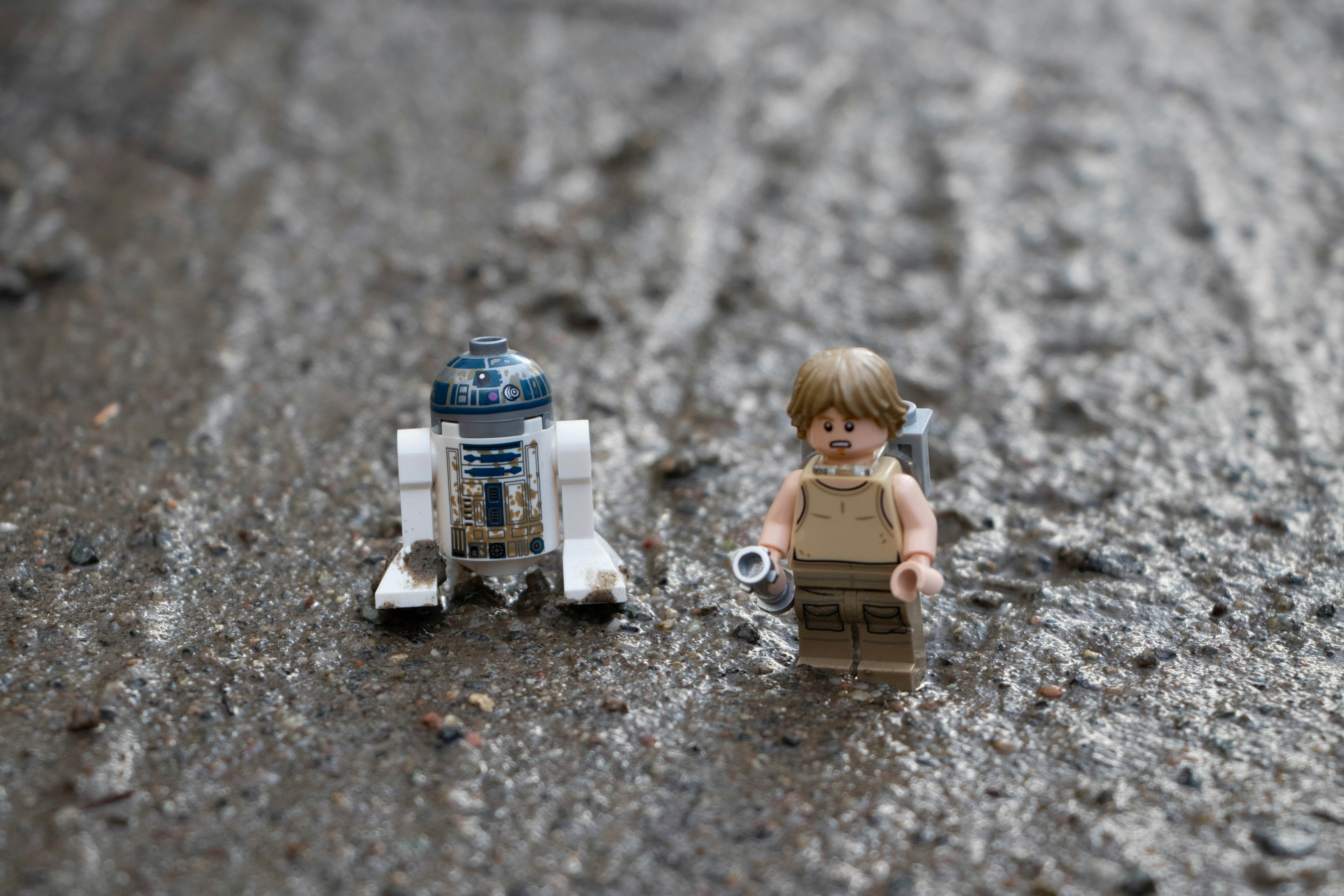 Kat Canavan (@thegalaxykat) | Unsplash Photo Community