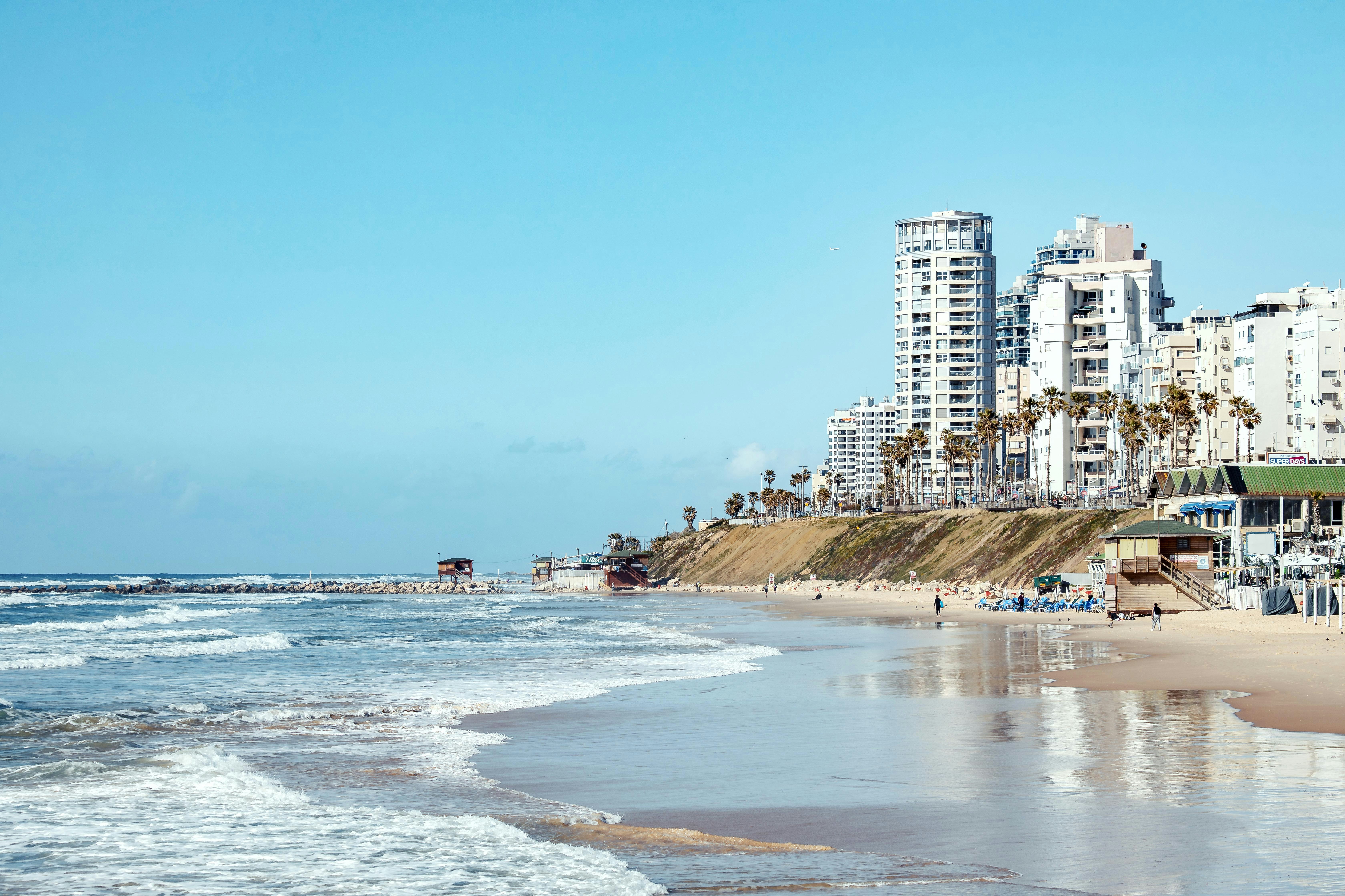 30,000+ Yam Pictures | Download Free Images on Unsplash