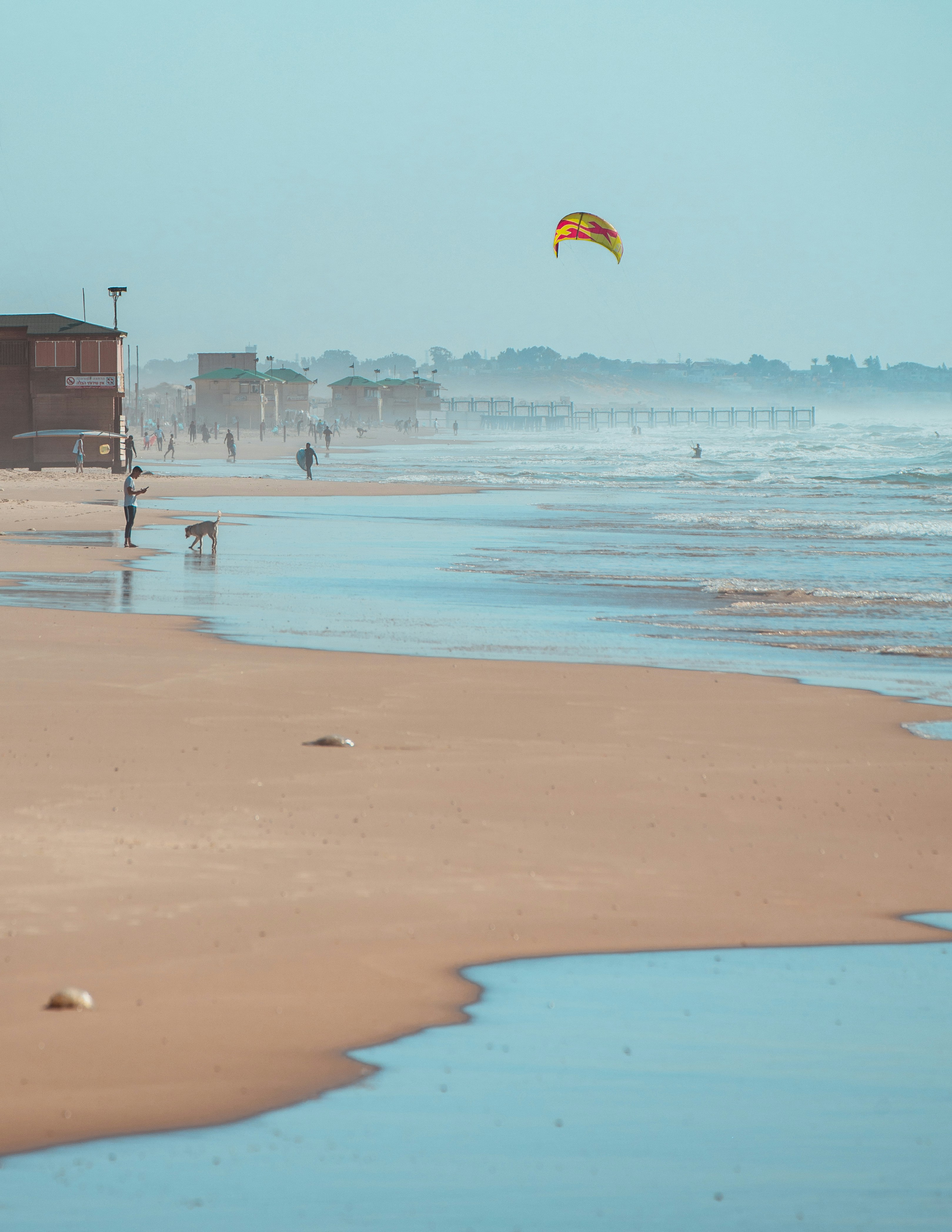 Yam Pictures | Download Free Images on Unsplash