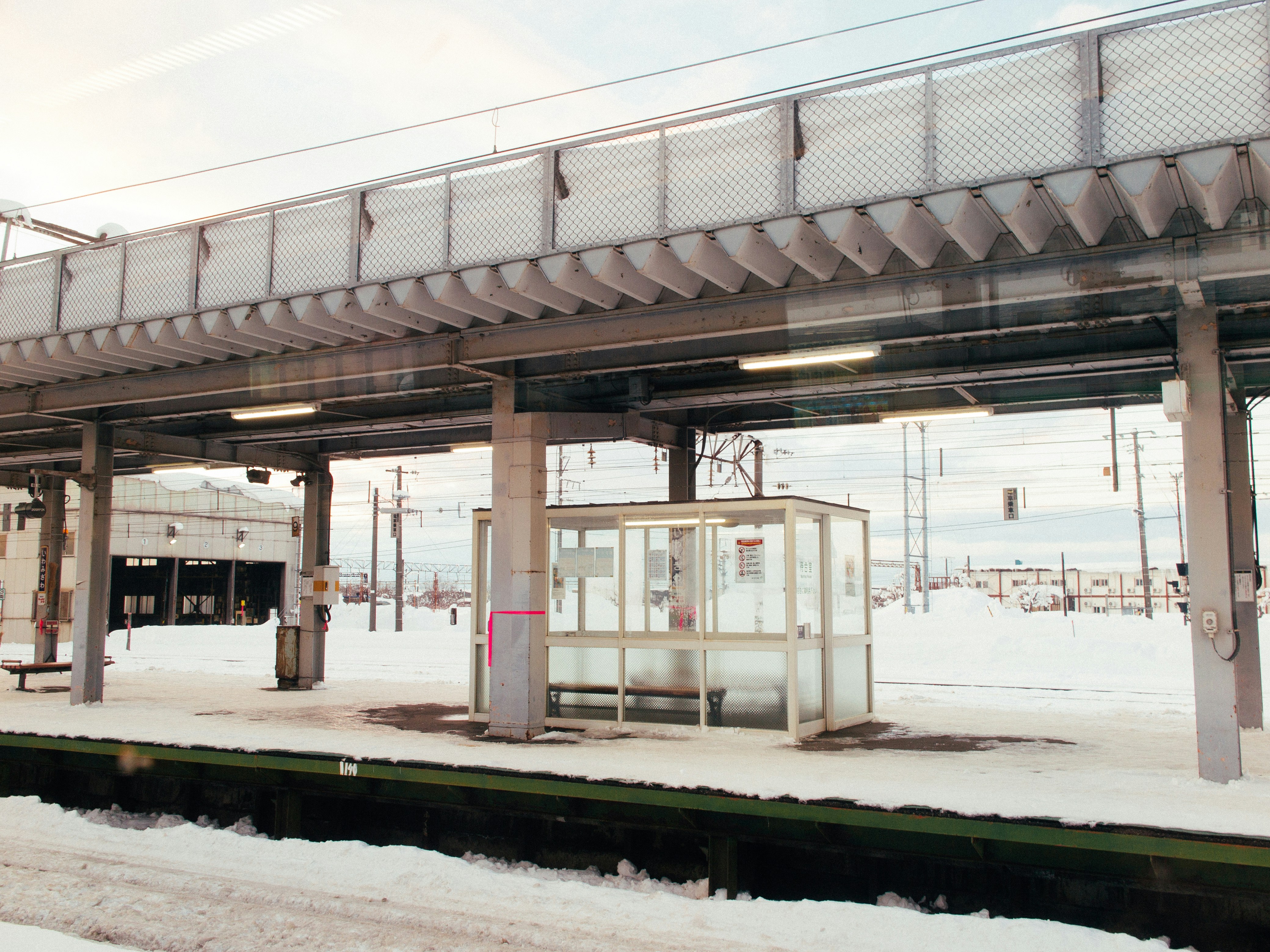 Photo by Natalie Su with Canon PowerShot G1 X Mark II