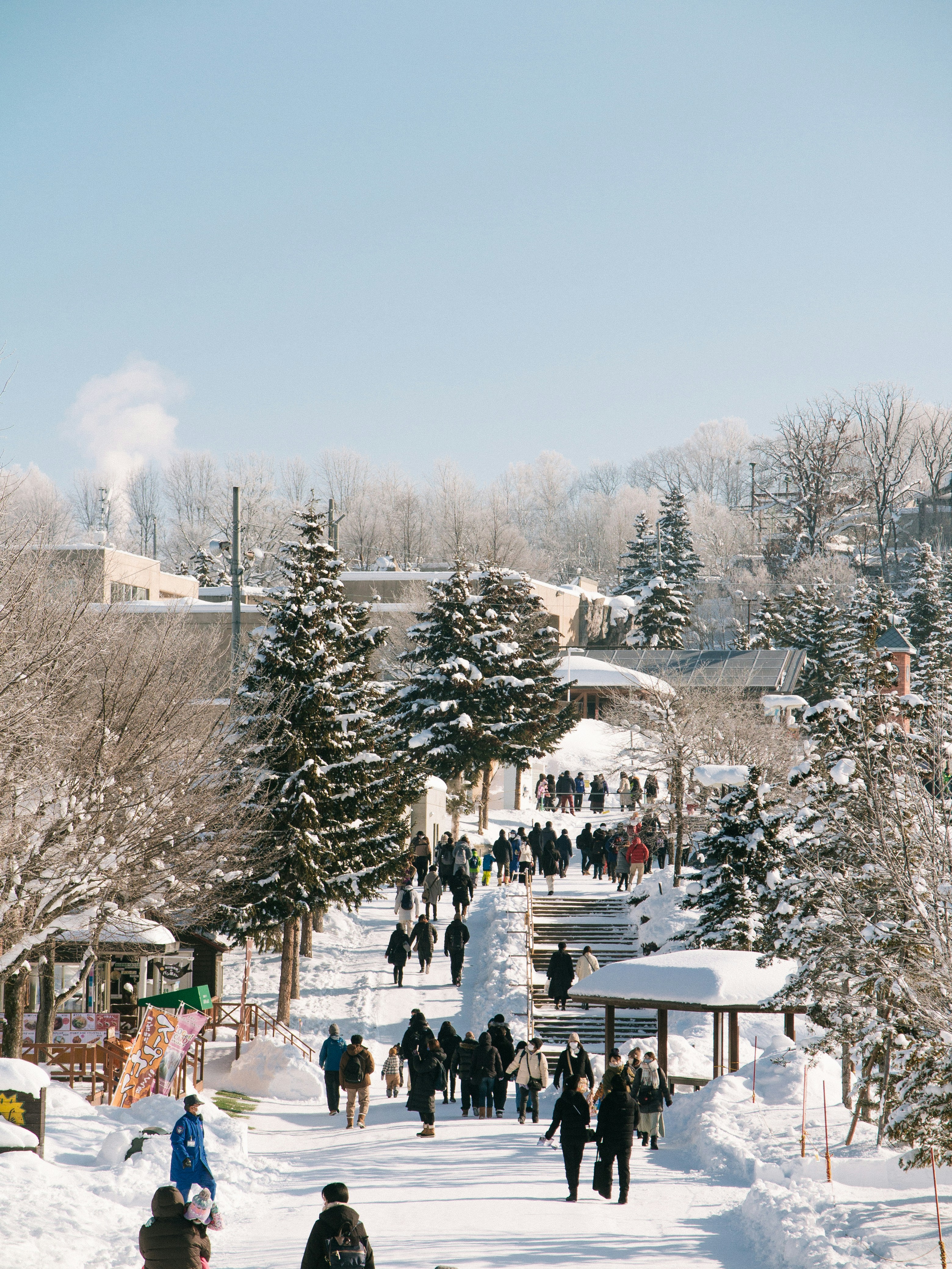 Crowd of people walking along a snow-laden path flanked by frosted trees and buildings, under a clear blue sky.
