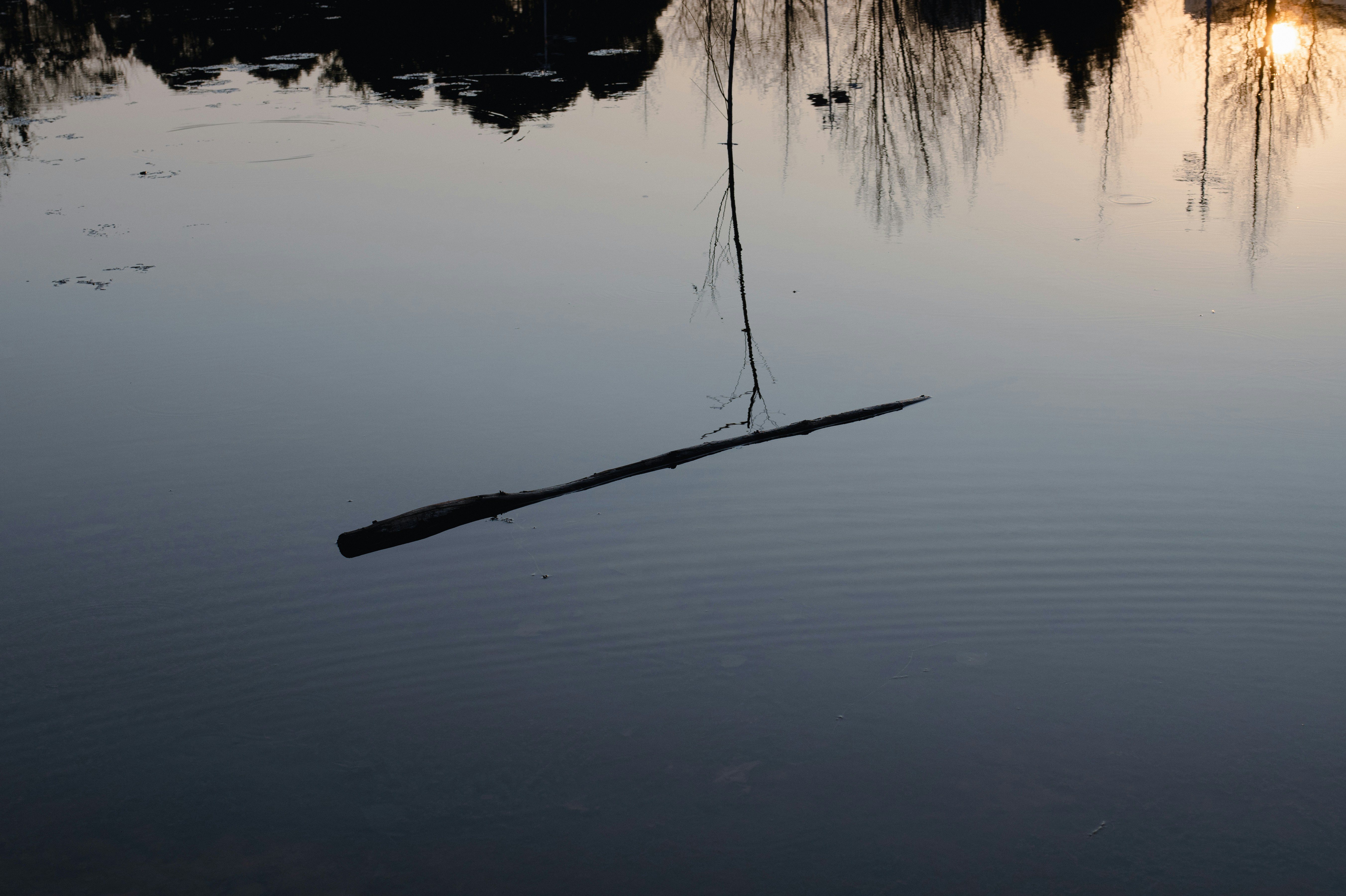 A pole sticking out of a body of water photo – Free River Image on Unsplash