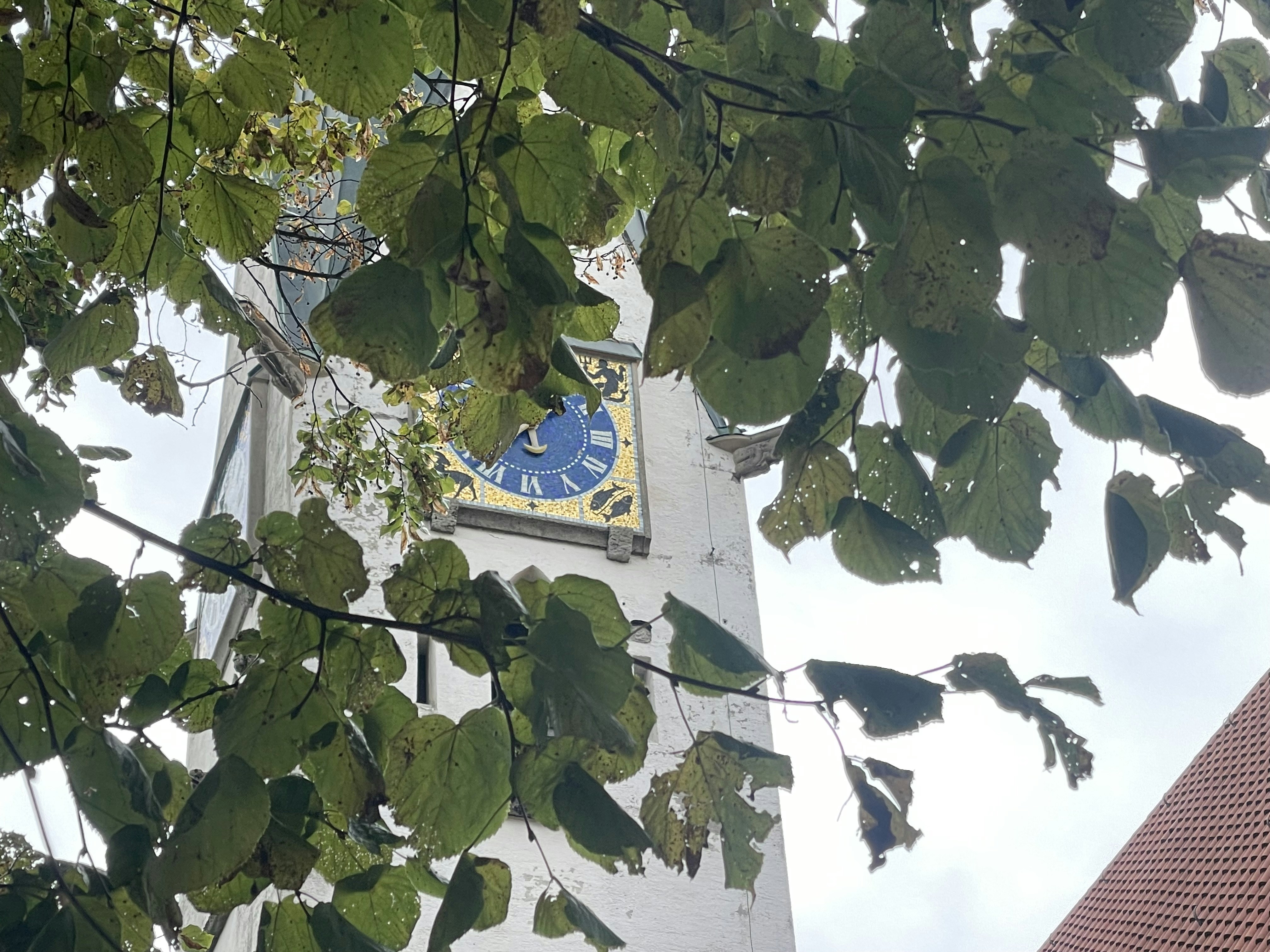 Timekeeper Framed by a Green Canopy