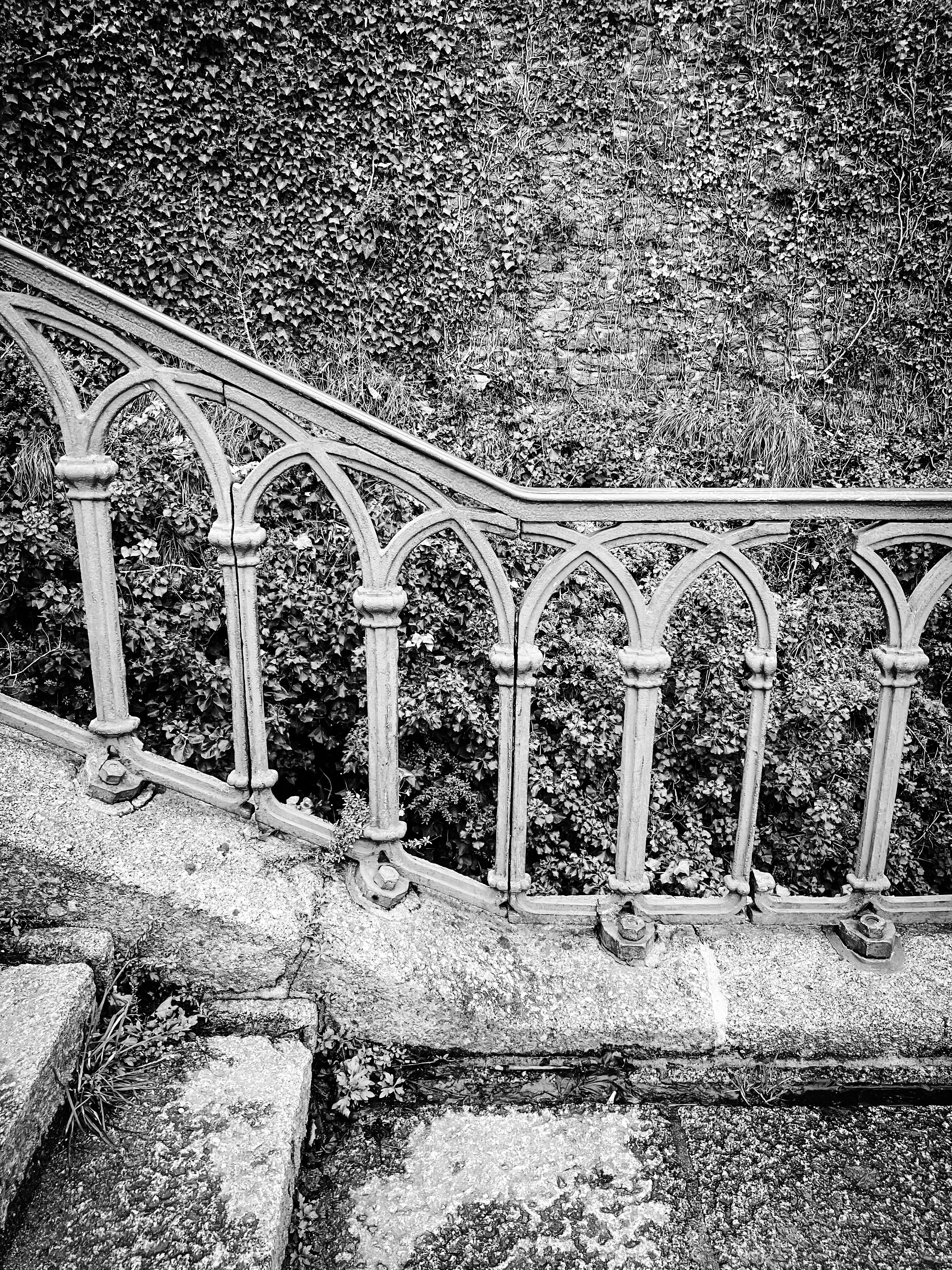 Iron Arches Along Mossy Steps: A Monochrome Railing Study