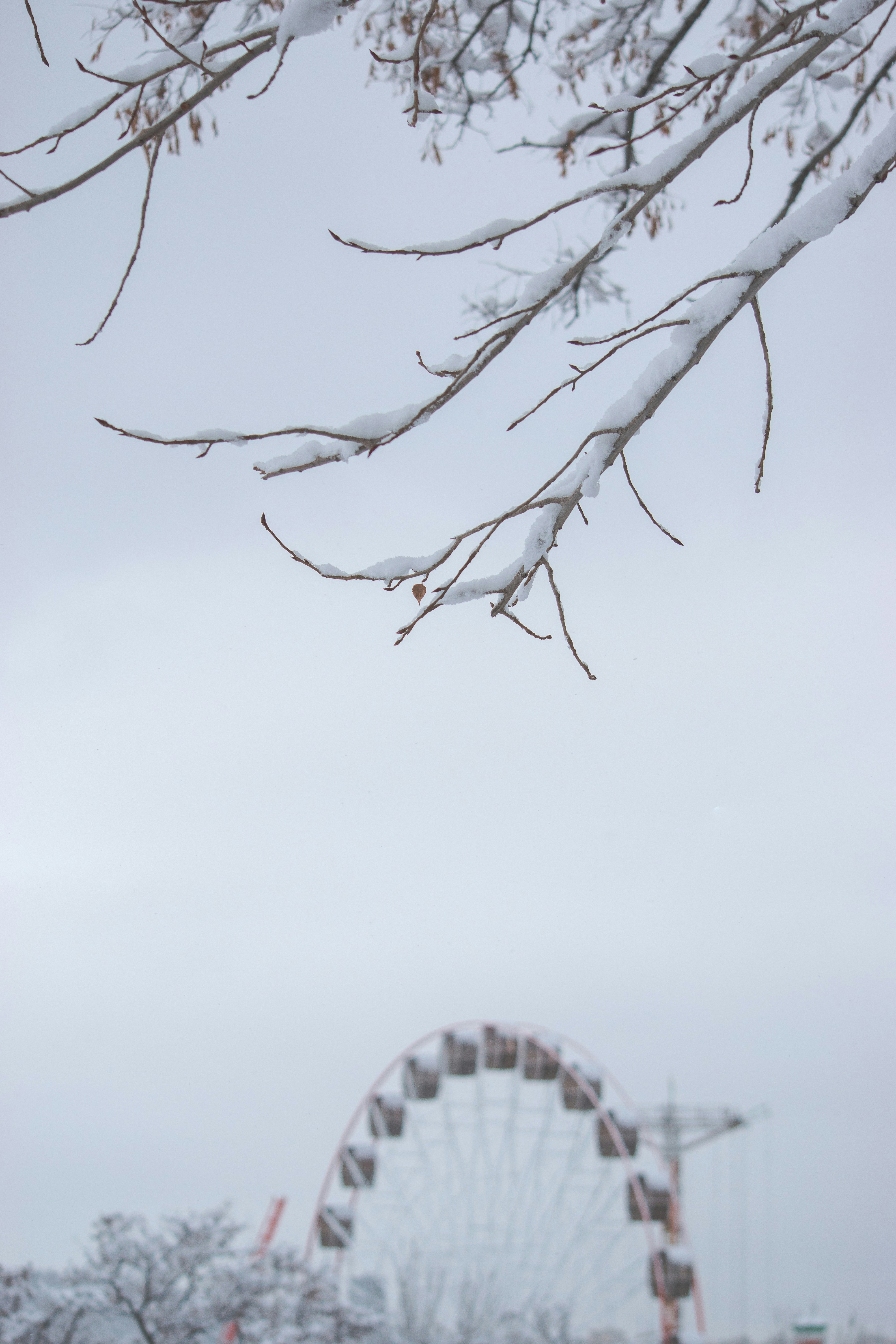 A ferris wheel in the distance with snow on the ground photo – Free ...