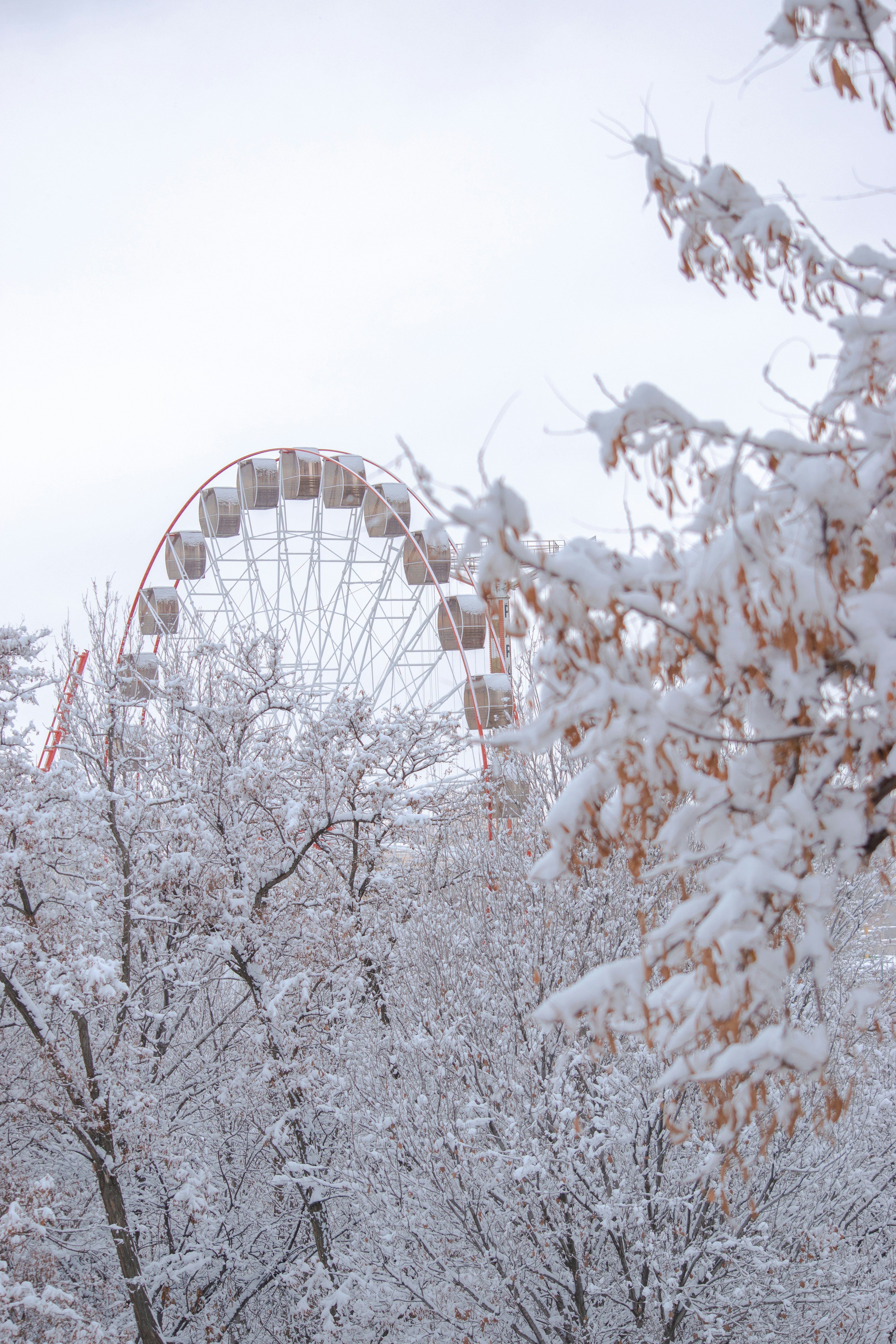 Ferris Wheel Peeking Through a Snowbound Forest