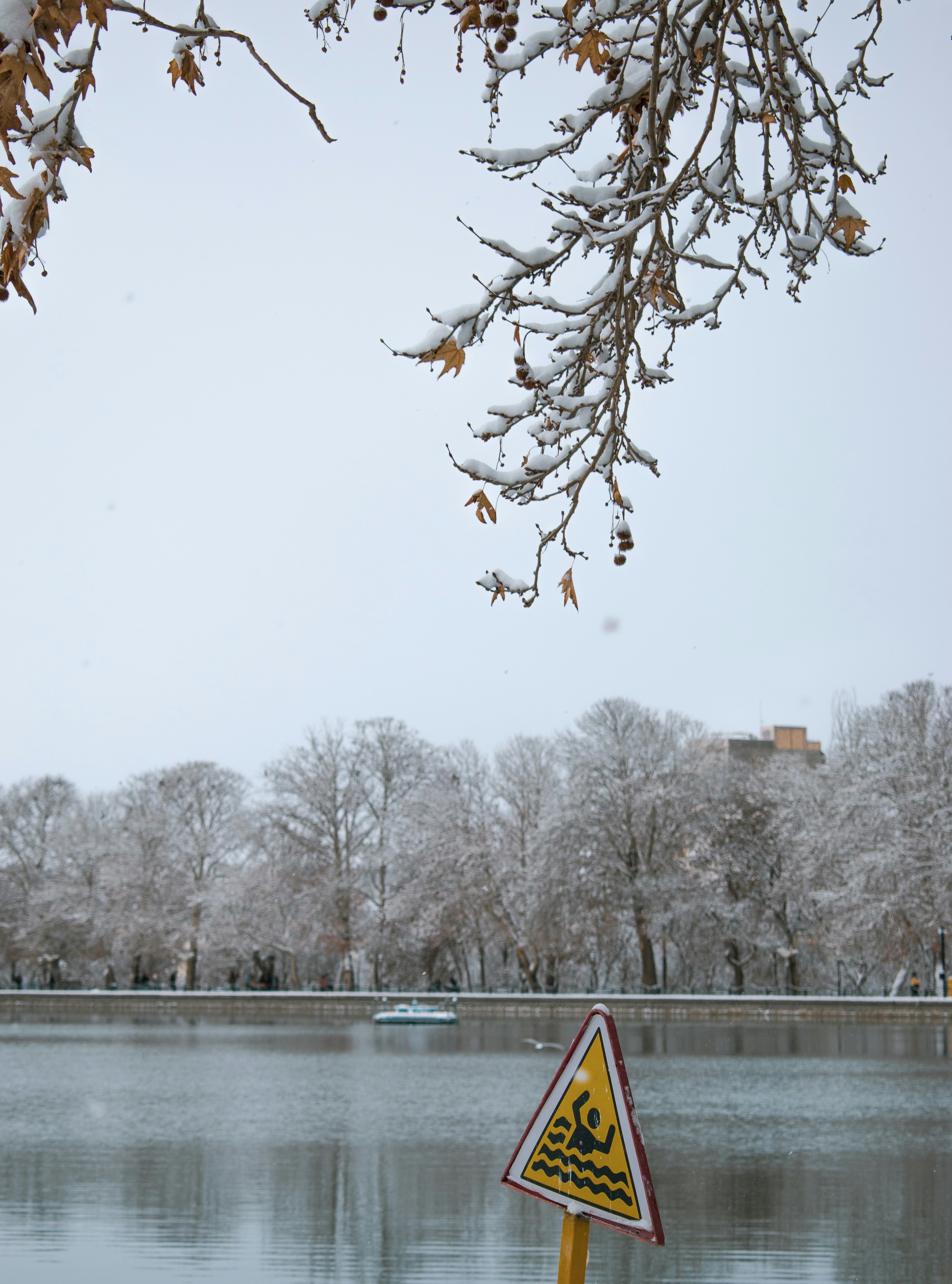 Snow-Laced Branches Framing a Quiet Lake with Warning Sign