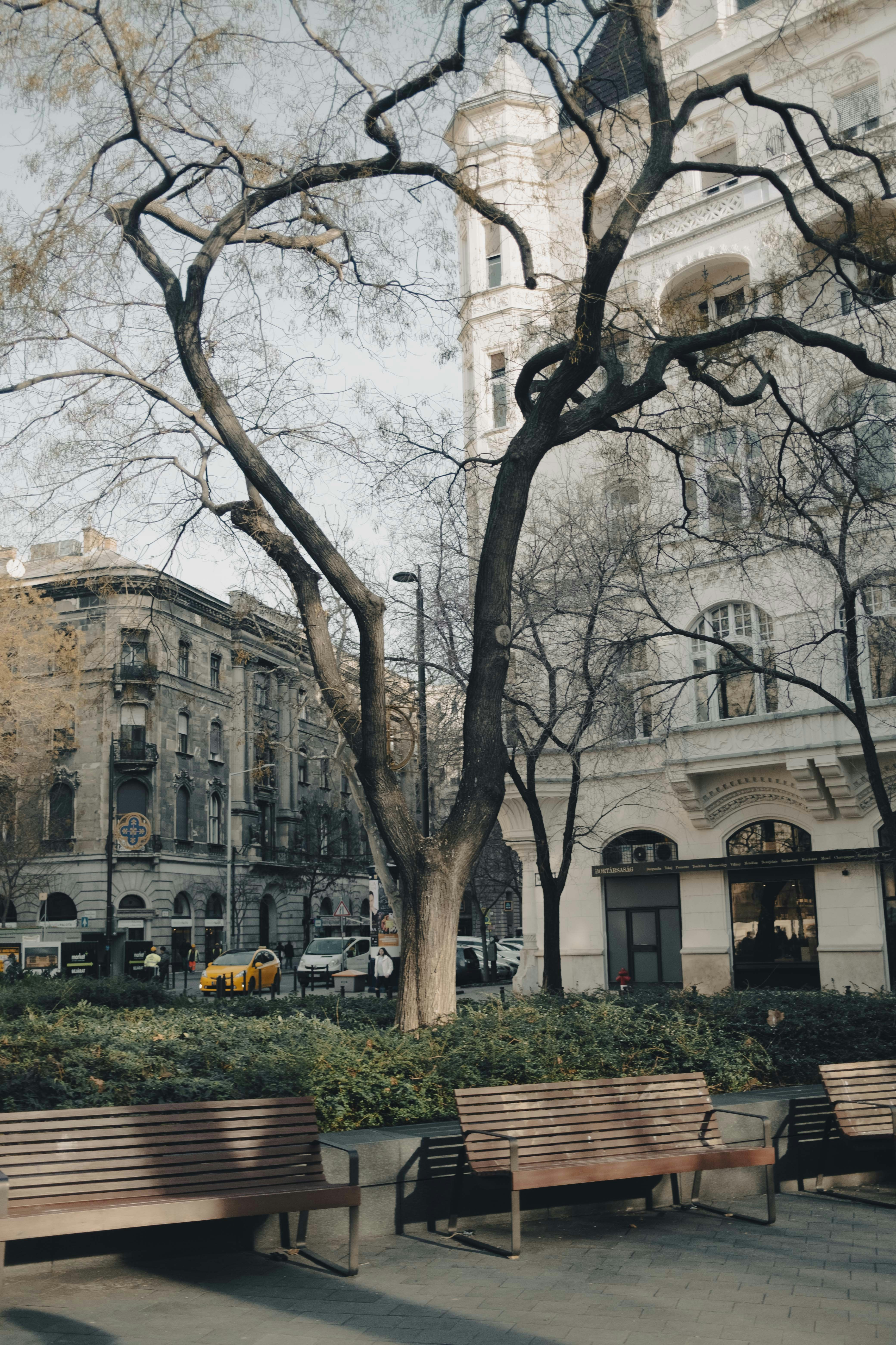 Photo by hvid kanin with Fujifilm X100V