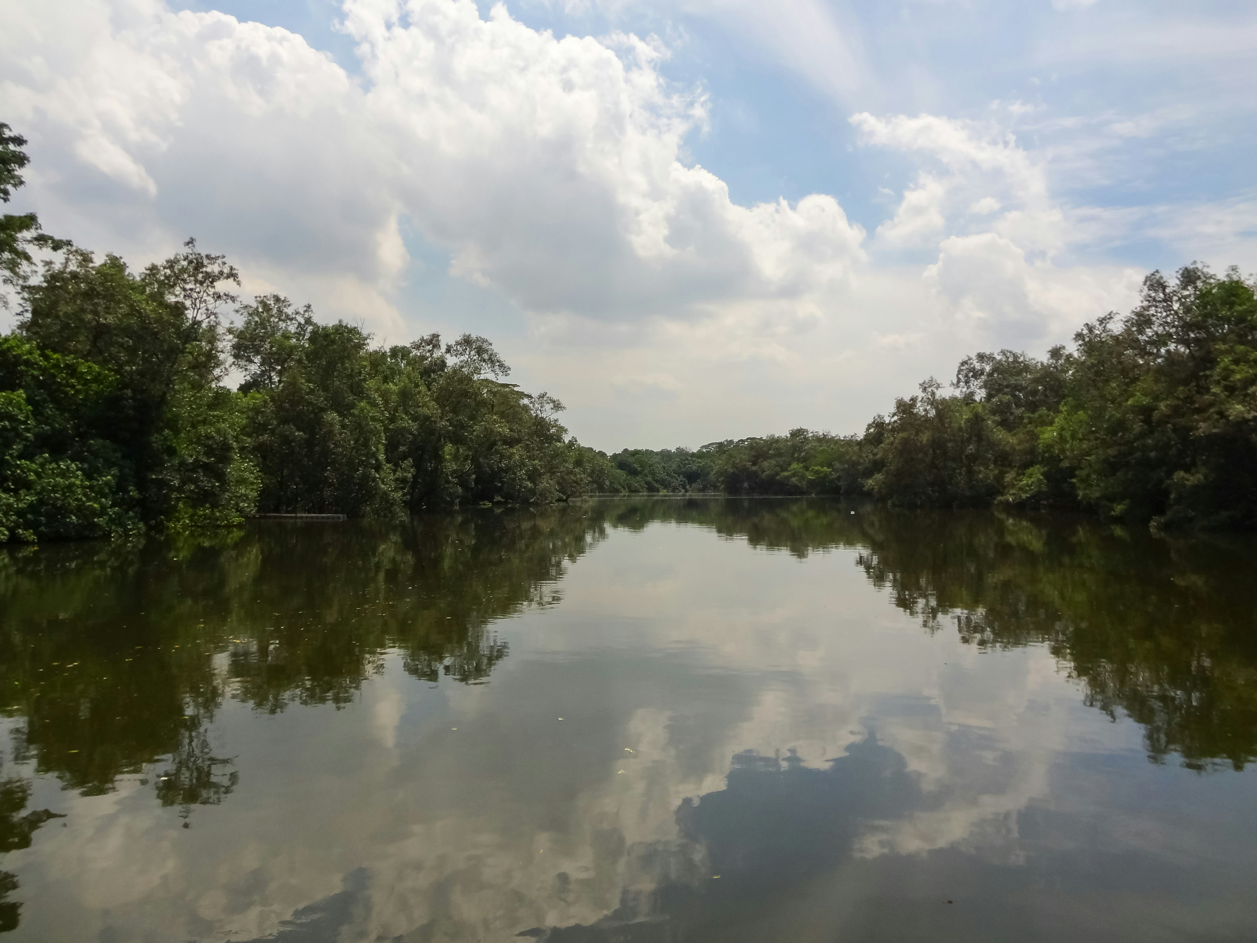 Calm river mirrors a cloudy sky as trees frame both banks and a distant bend.