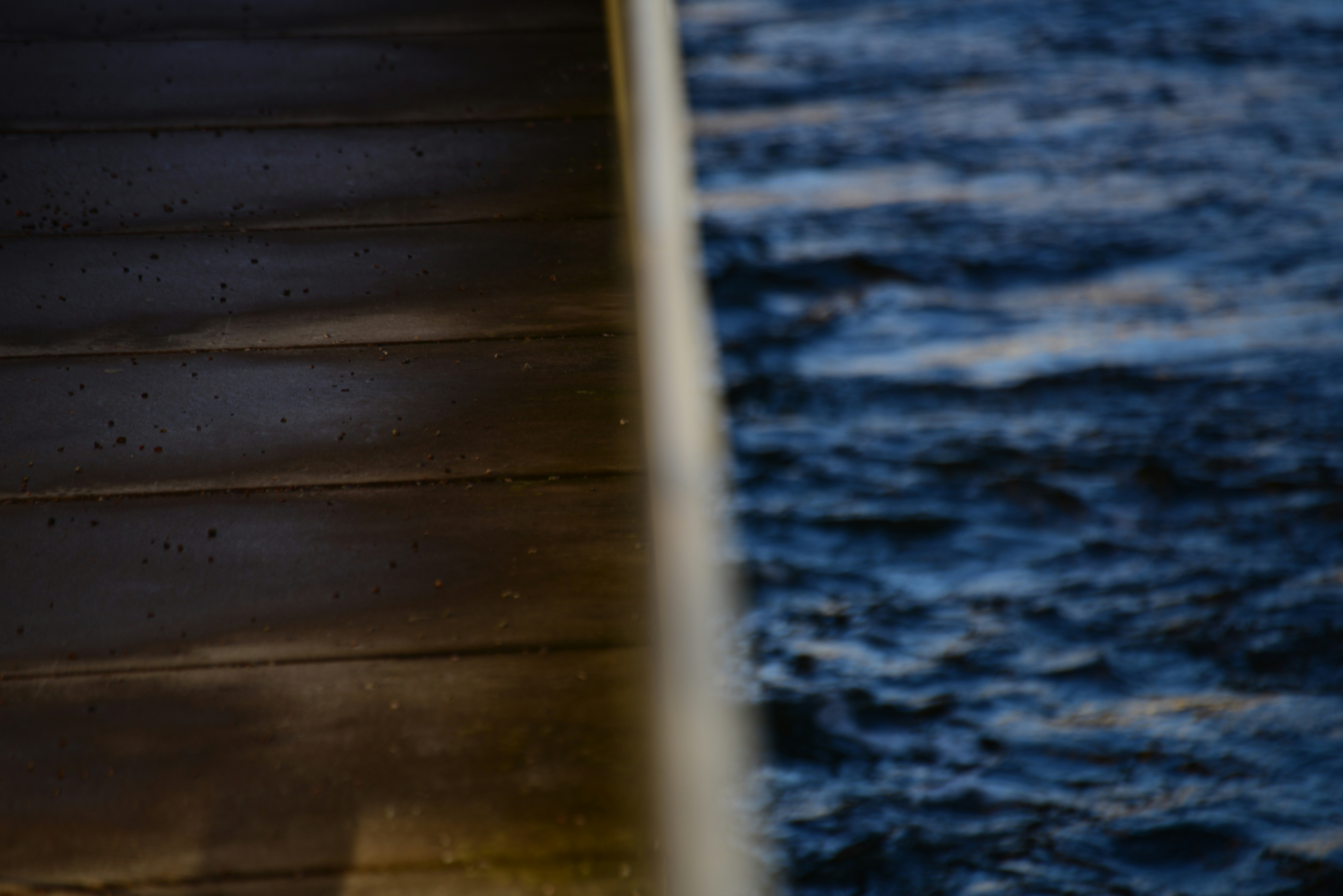 a bird is standing on the edge of a dock