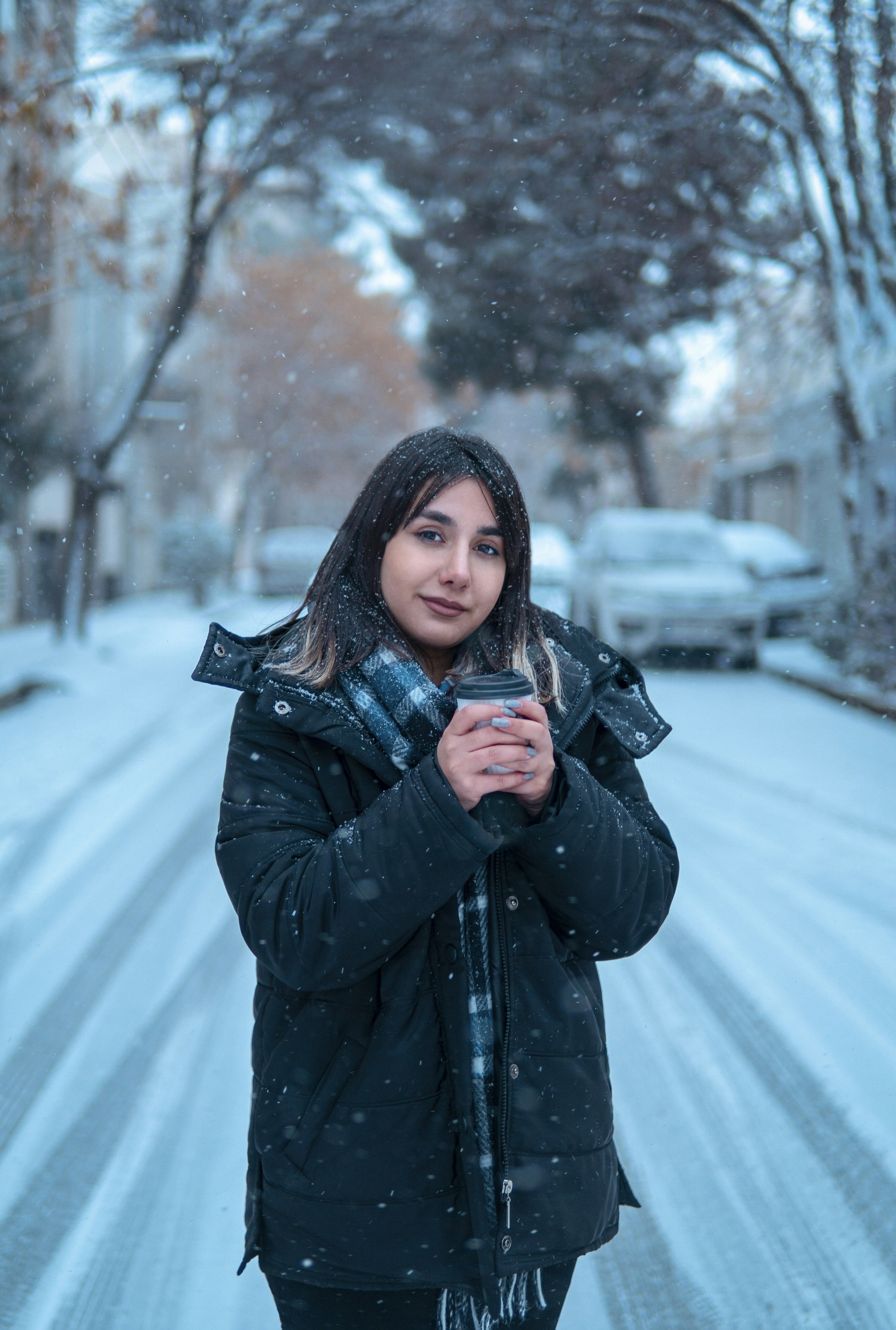 Winter Stillness: A Cozy Moment on a Snow-Cooled Street