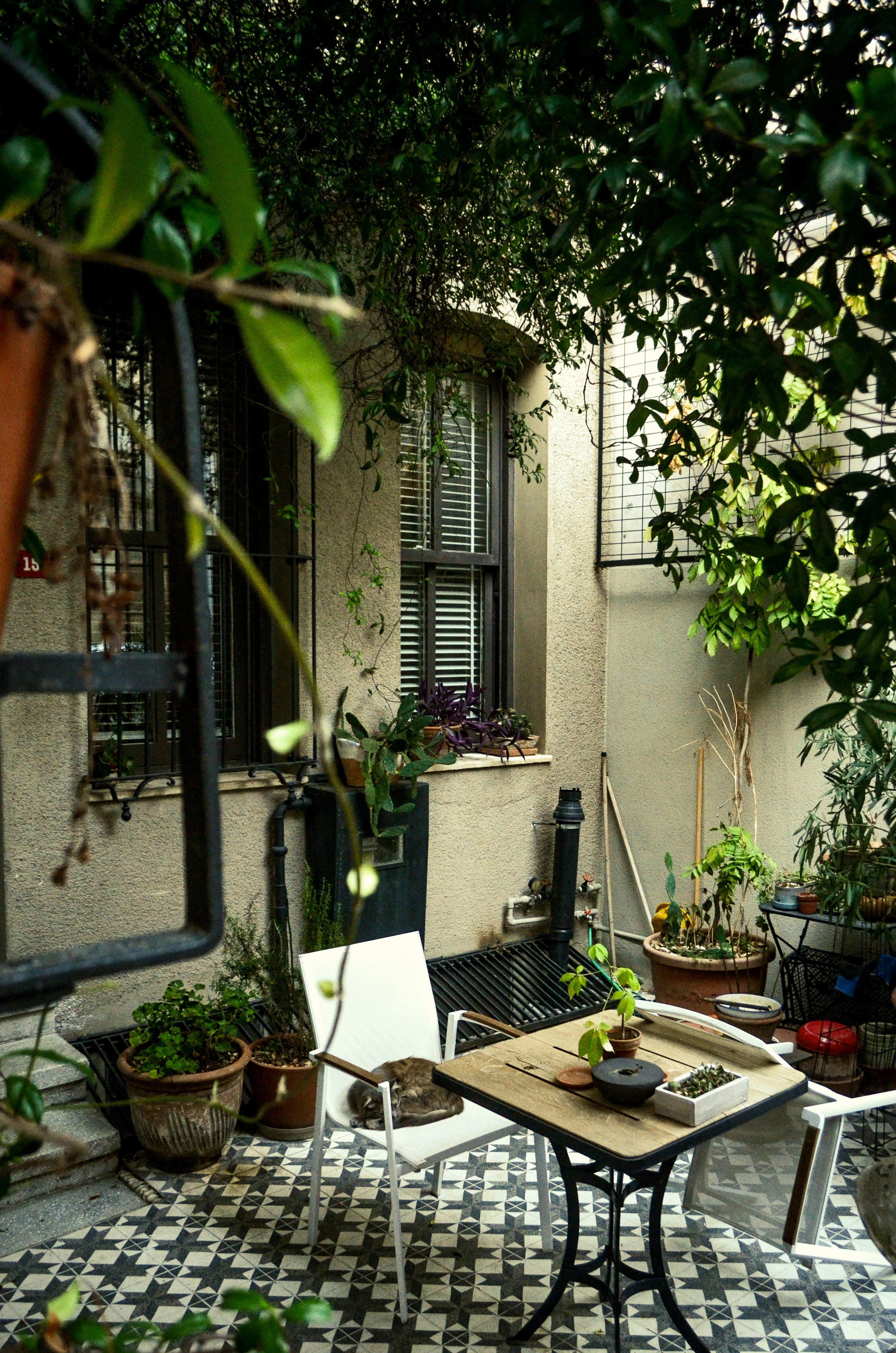 Dappled Light Over a Cozy Courtyard Table