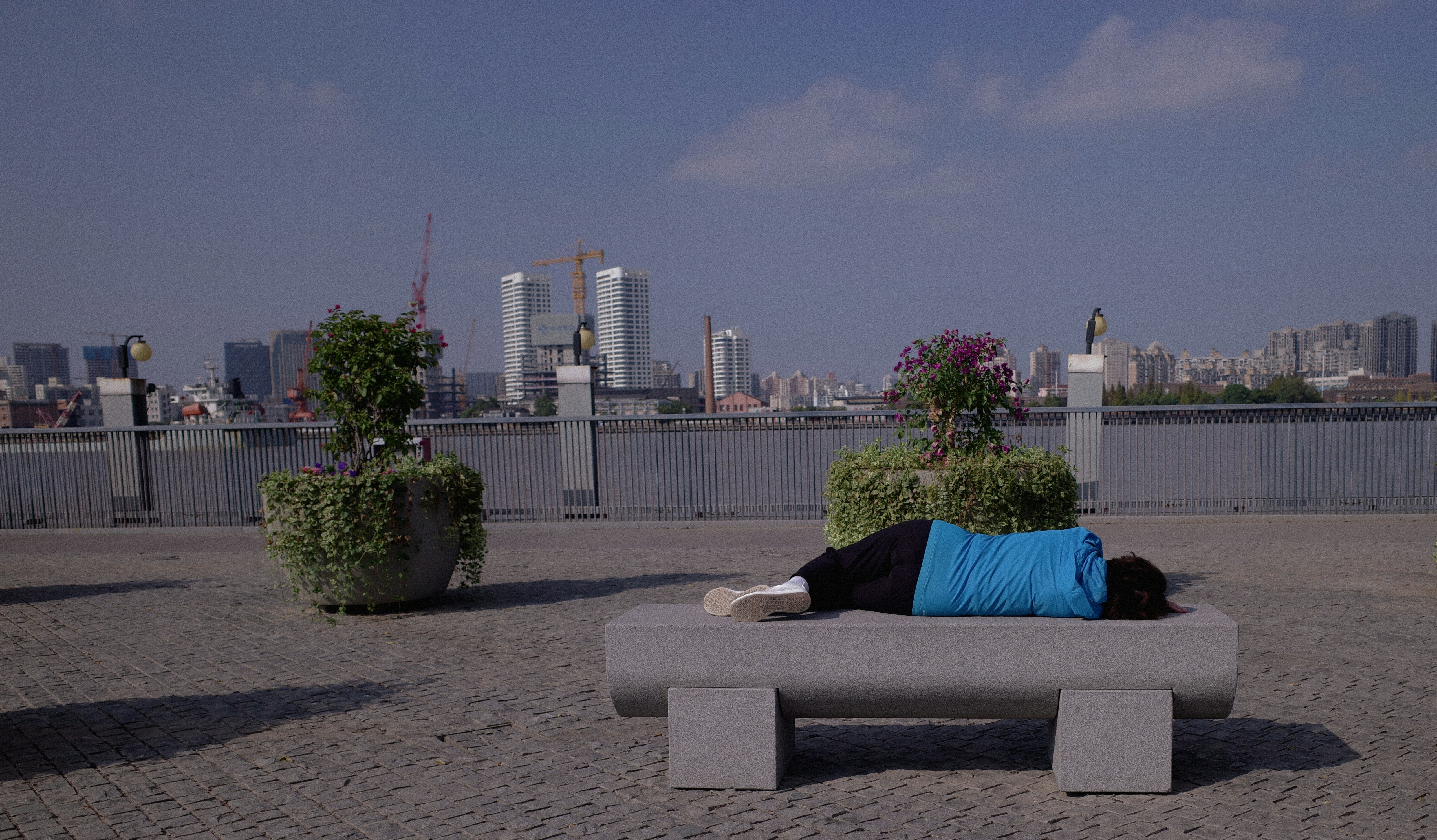 Una persona acostada en un banco en un parque foto – Imagen gratuita en ...