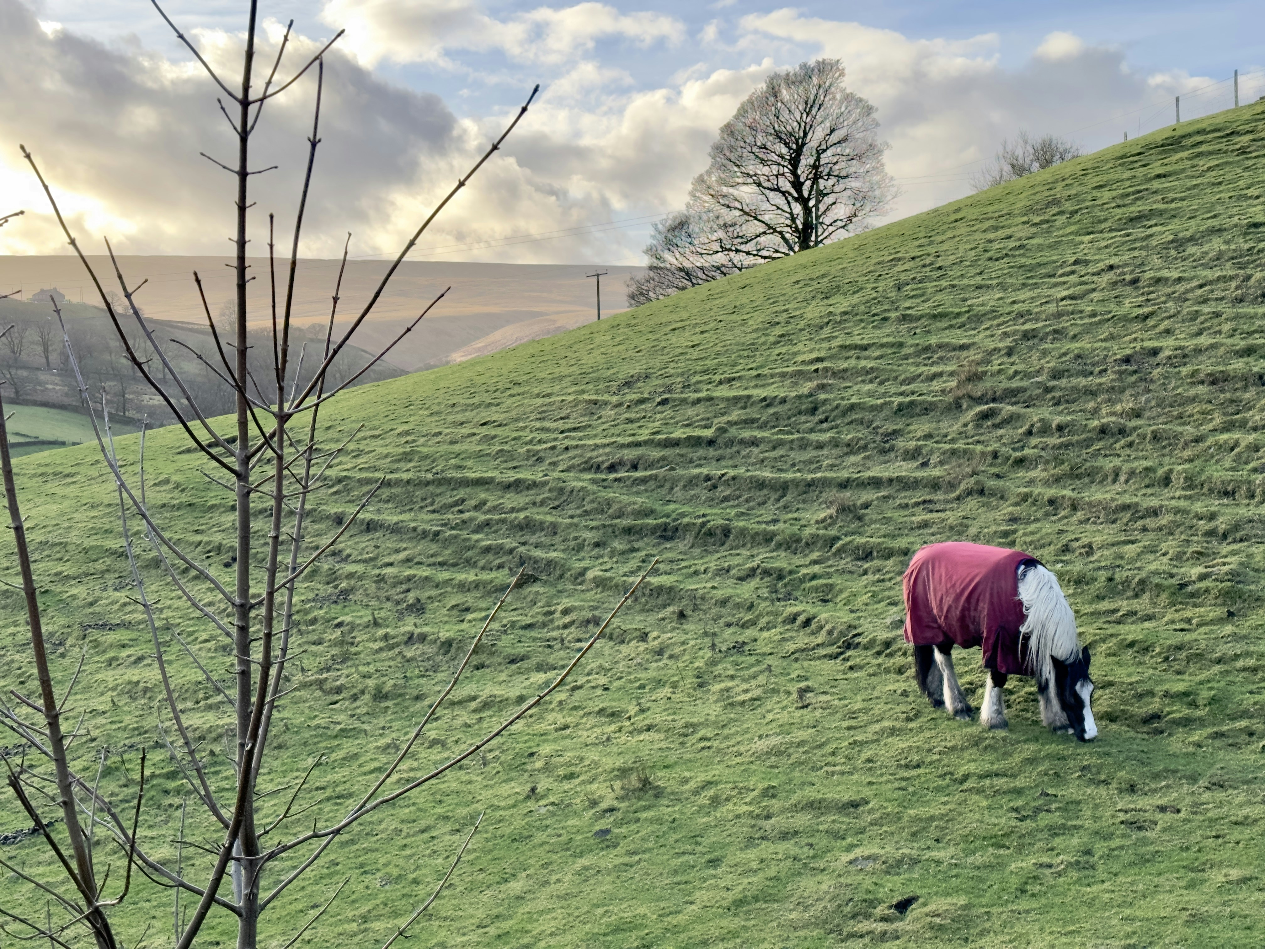 Andrew Siddall (@andous) | Unsplash Photo Community