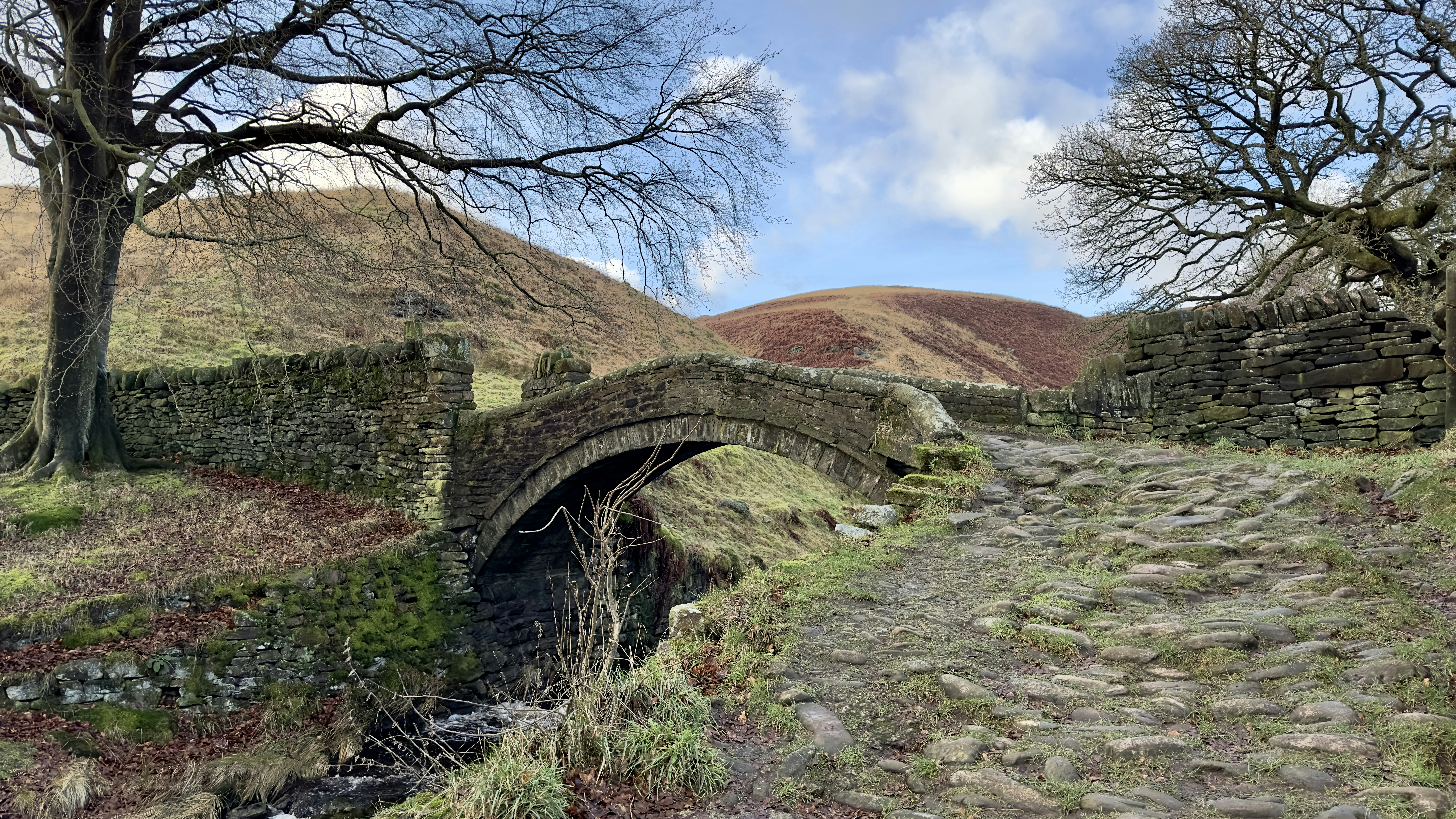Andrew Siddall (@andous) | Unsplash Photo Community