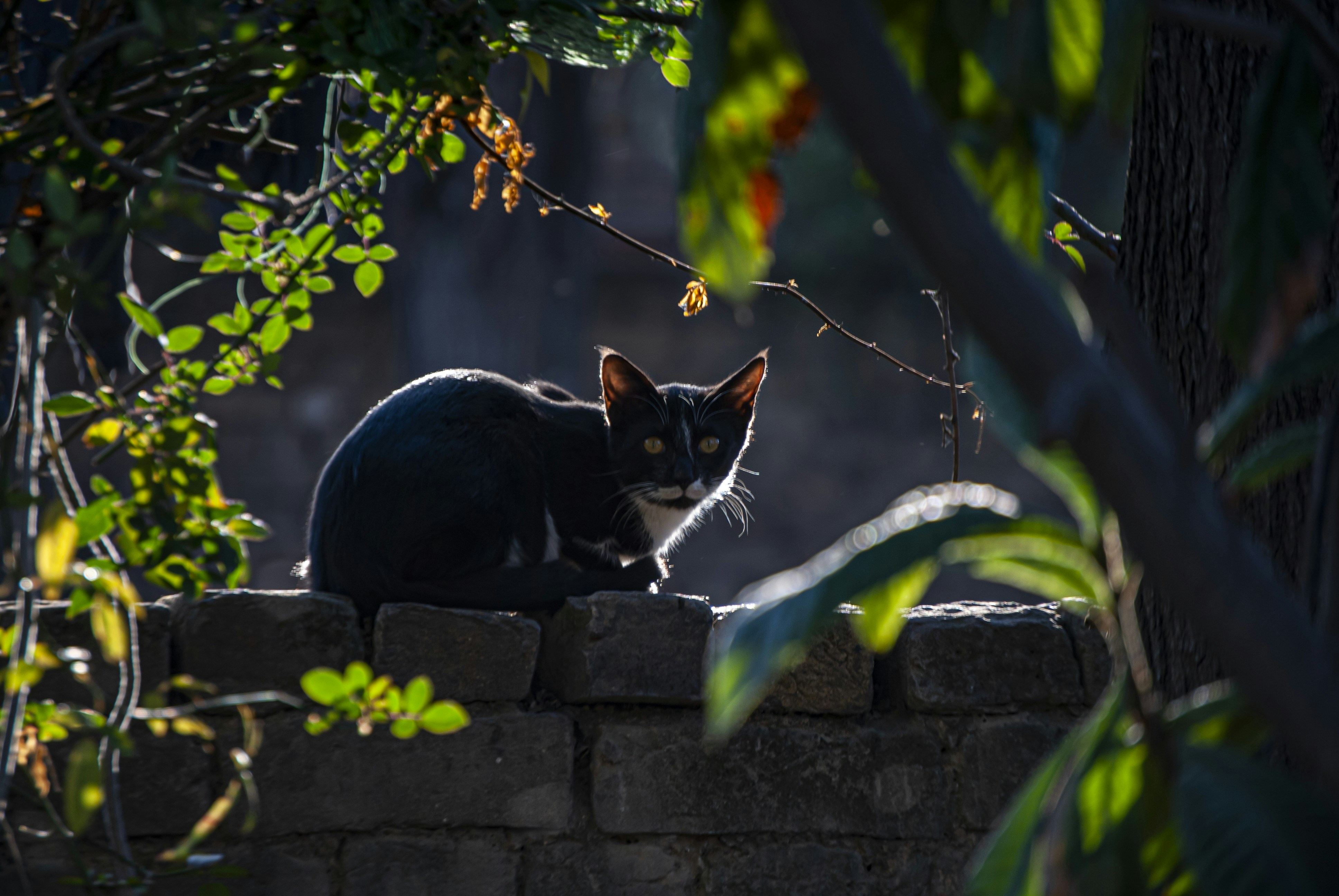 Photo by jibran j with Nikon D40X