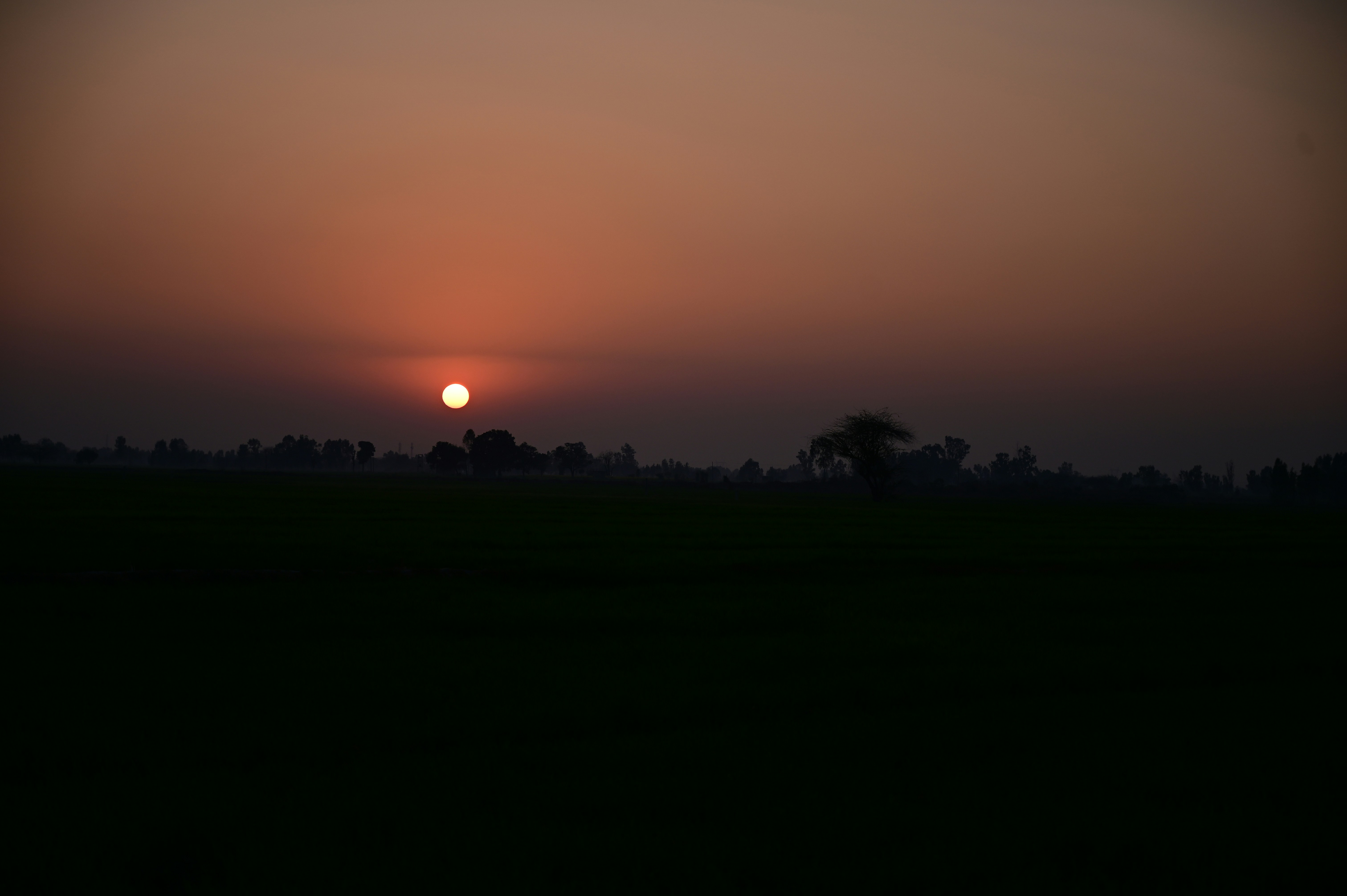 the sun is setting over a field of grass