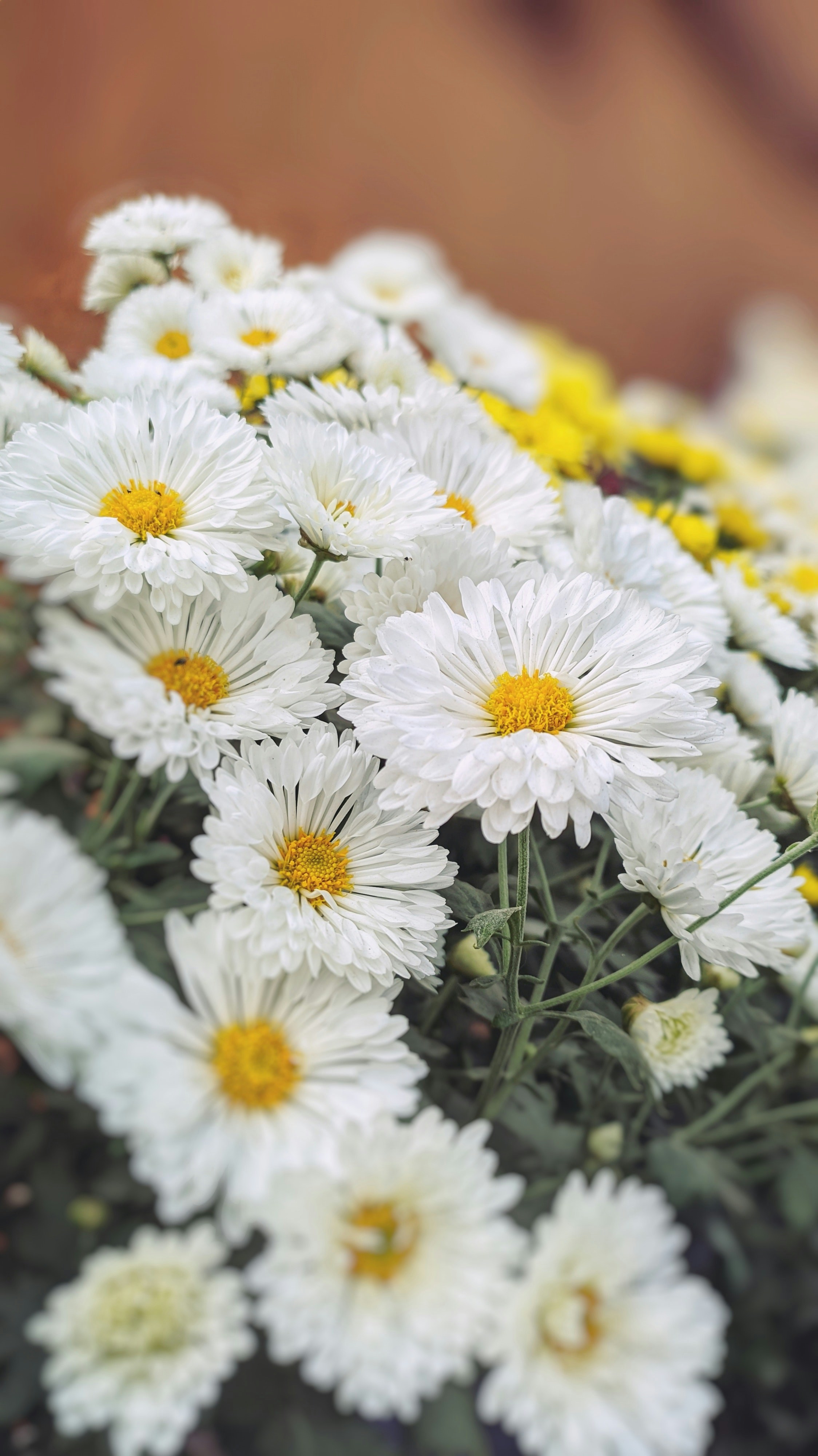 Ayush Mann (@ayush_mann) | Unsplashフォトコミュニティ