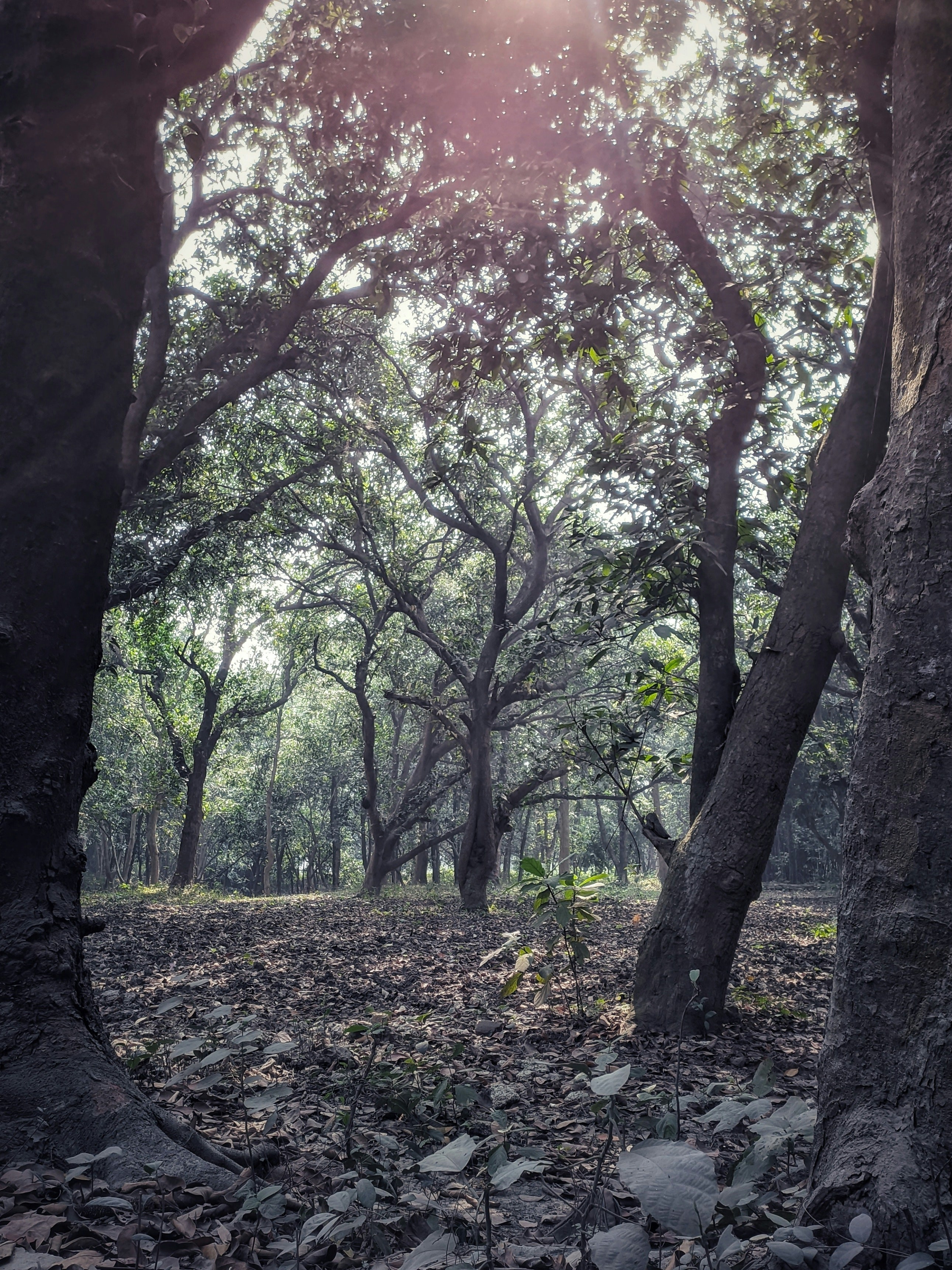 Ayush Mann (@ayush_mann) | Unsplashフォトコミュニティ