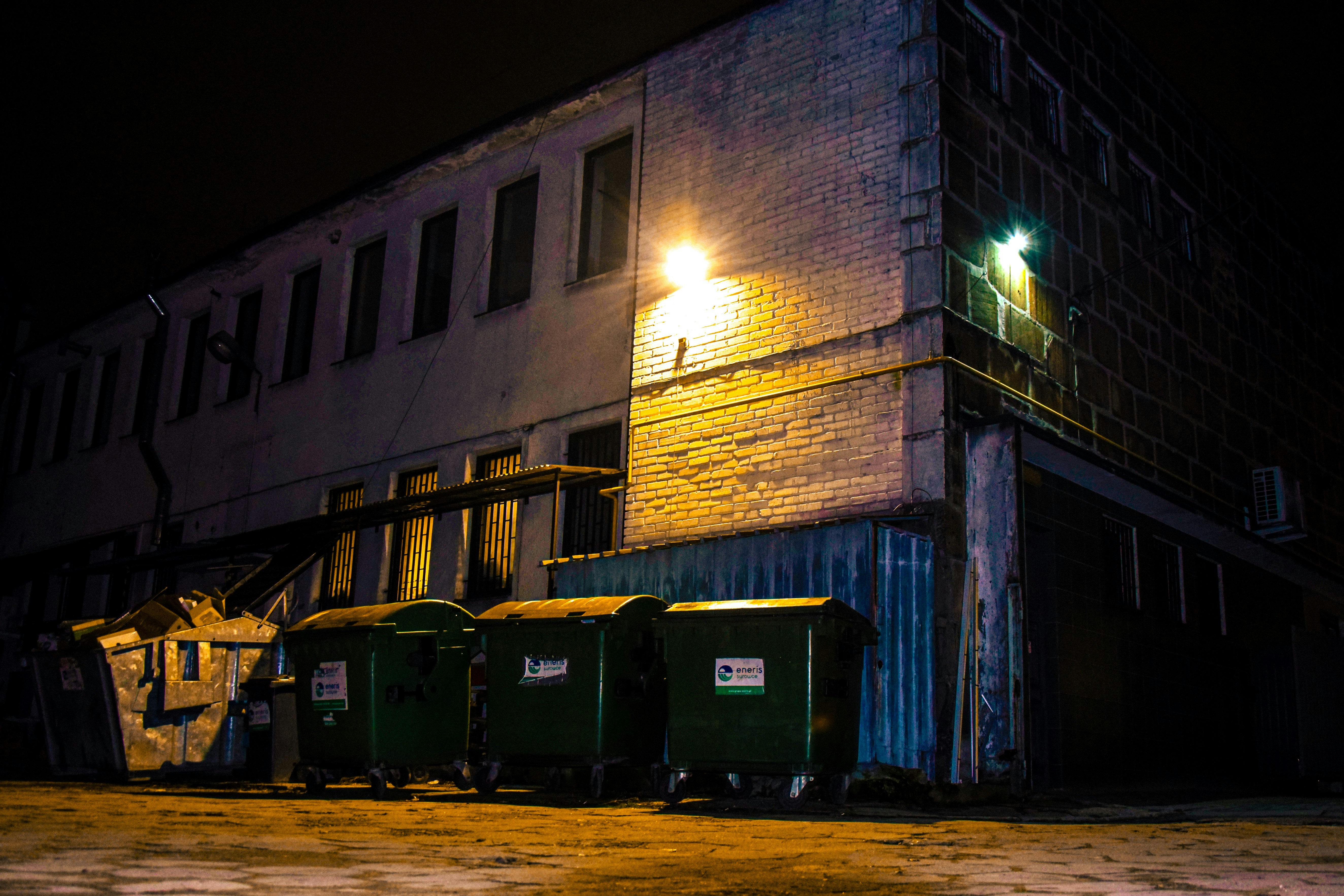 Neon Alleyway: Moonlit Facade Over Trash Bins