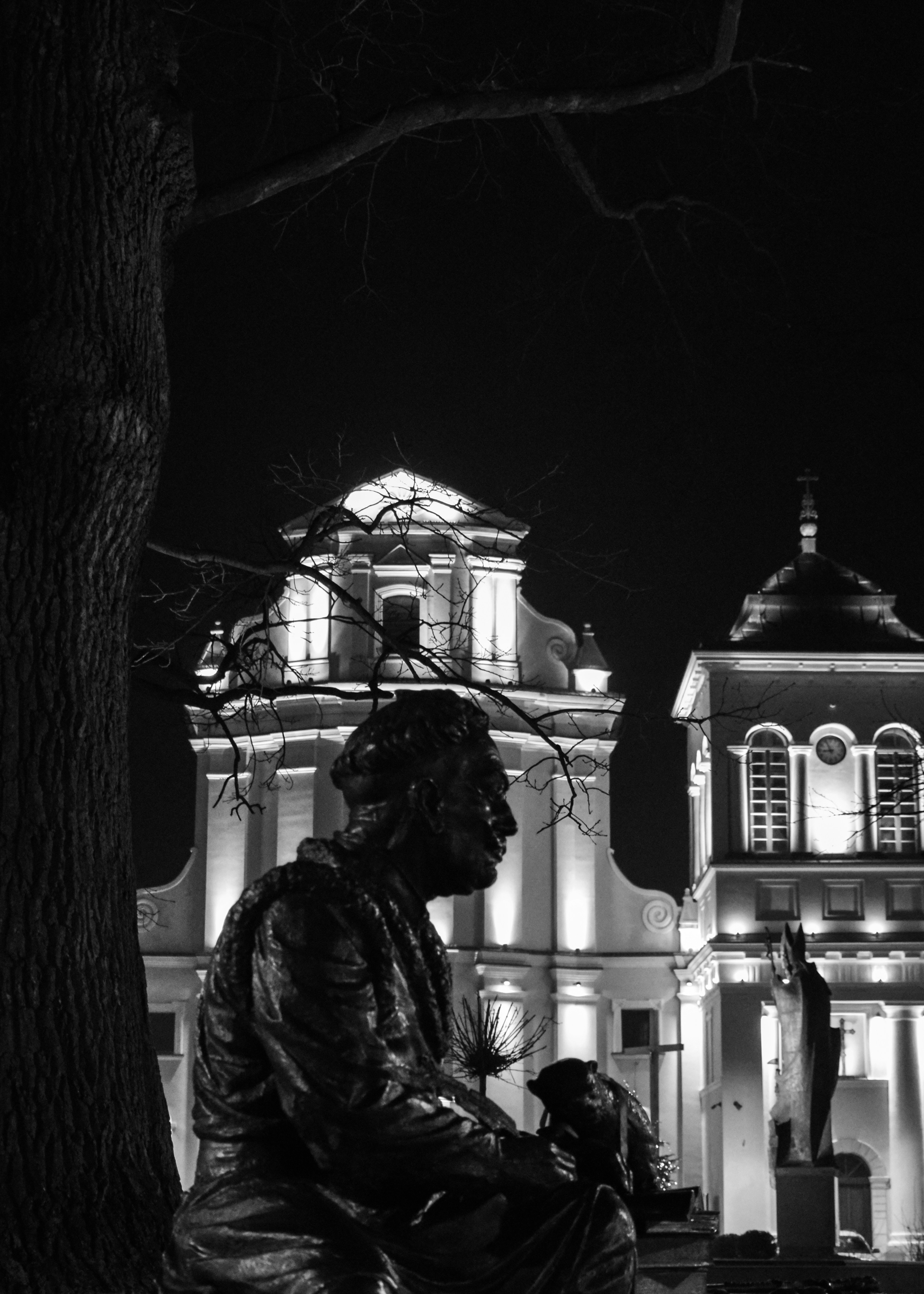 Moonlit Sentinel: Bronze Statue Framing Nighttime Baroque Facades
