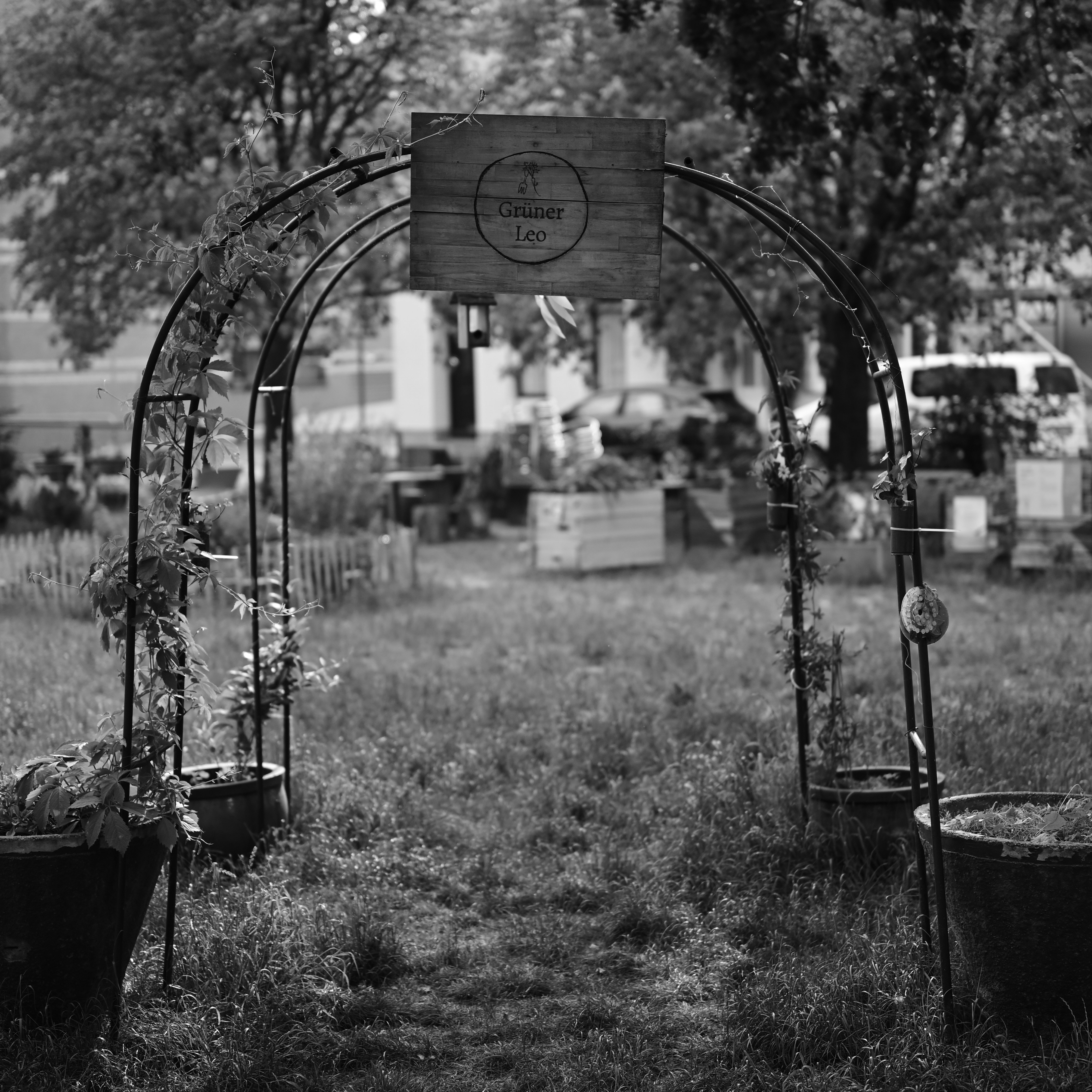 a black and white photo of a garden arch