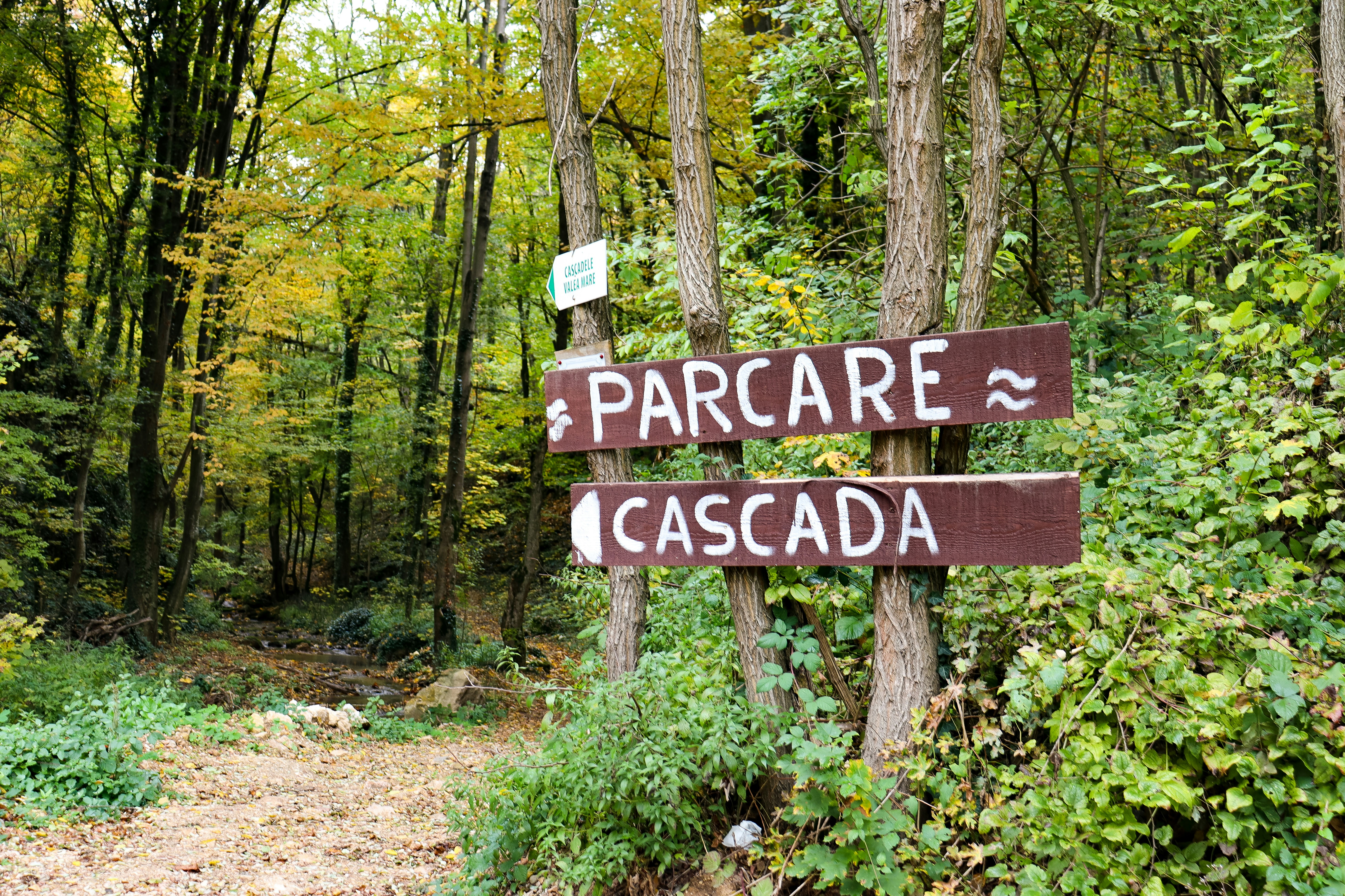 Autumn Trail Signpost: Cascada Path Through a Quiet Forest