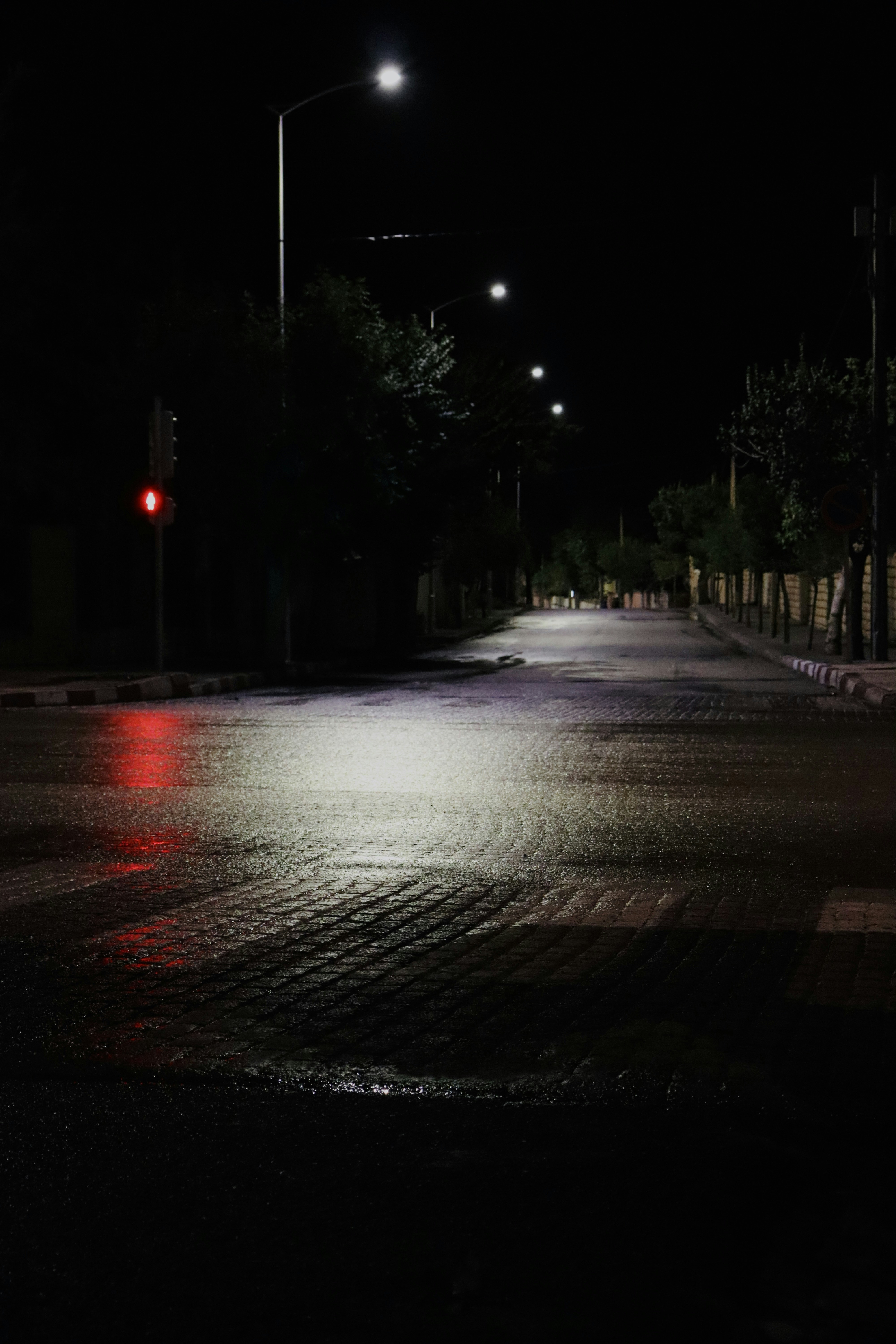 Nocturnal Reflections on a Rain-Washed Avenue