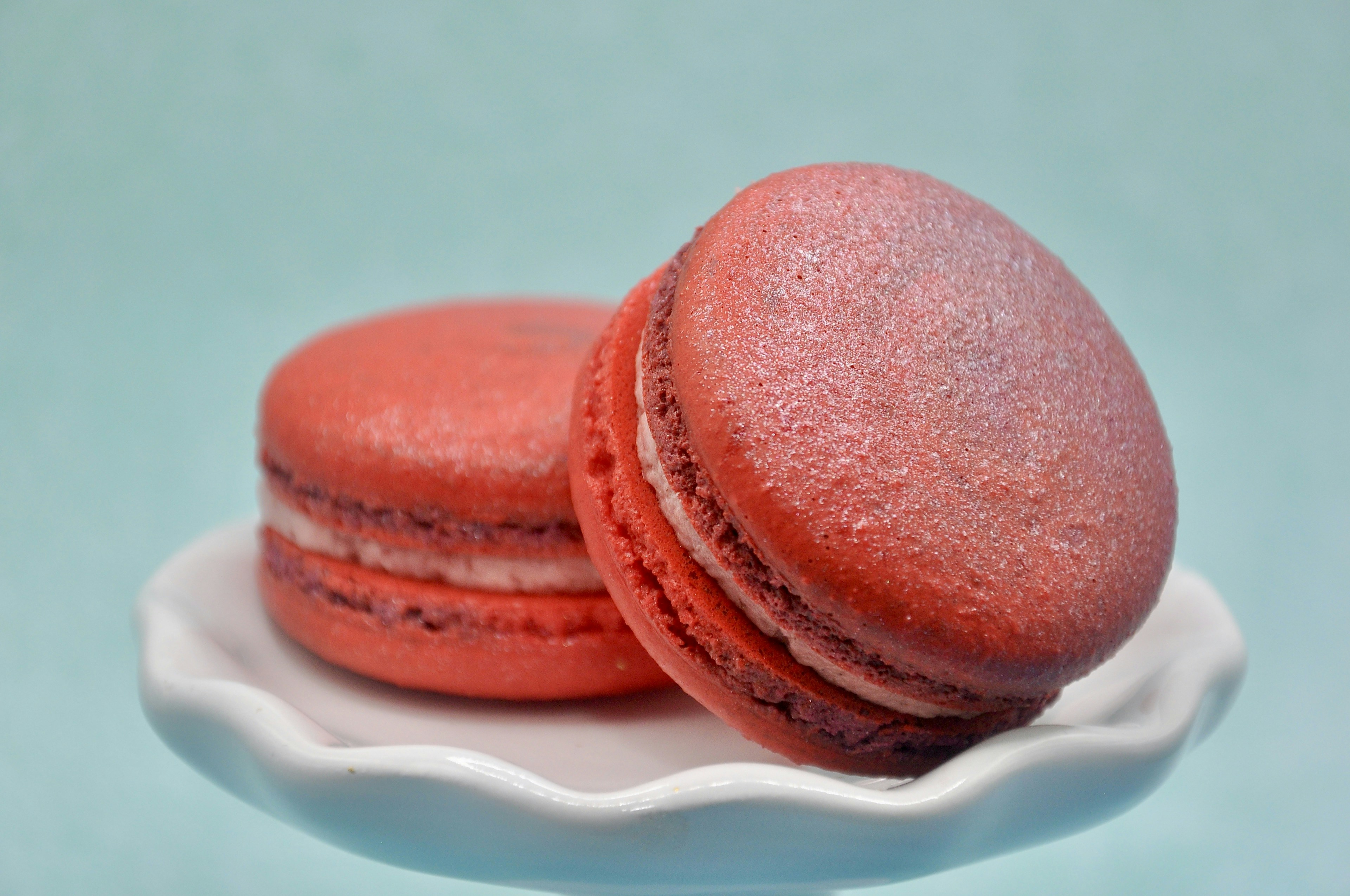 Two red macaroons sitting on a white plate photo – Free The sound Image ...
