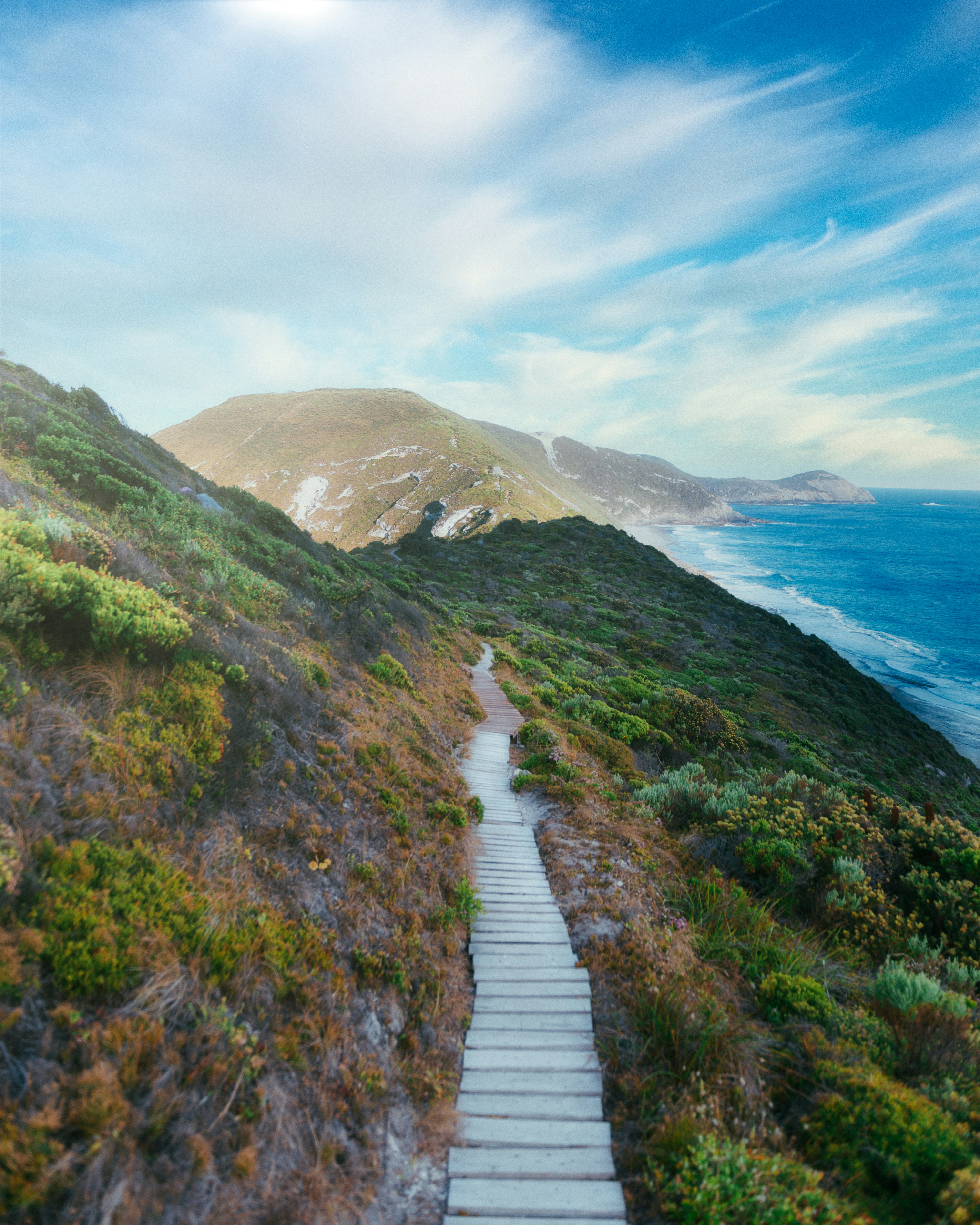 A path leading to the top of a mountain photo – Free Australia Image on ...