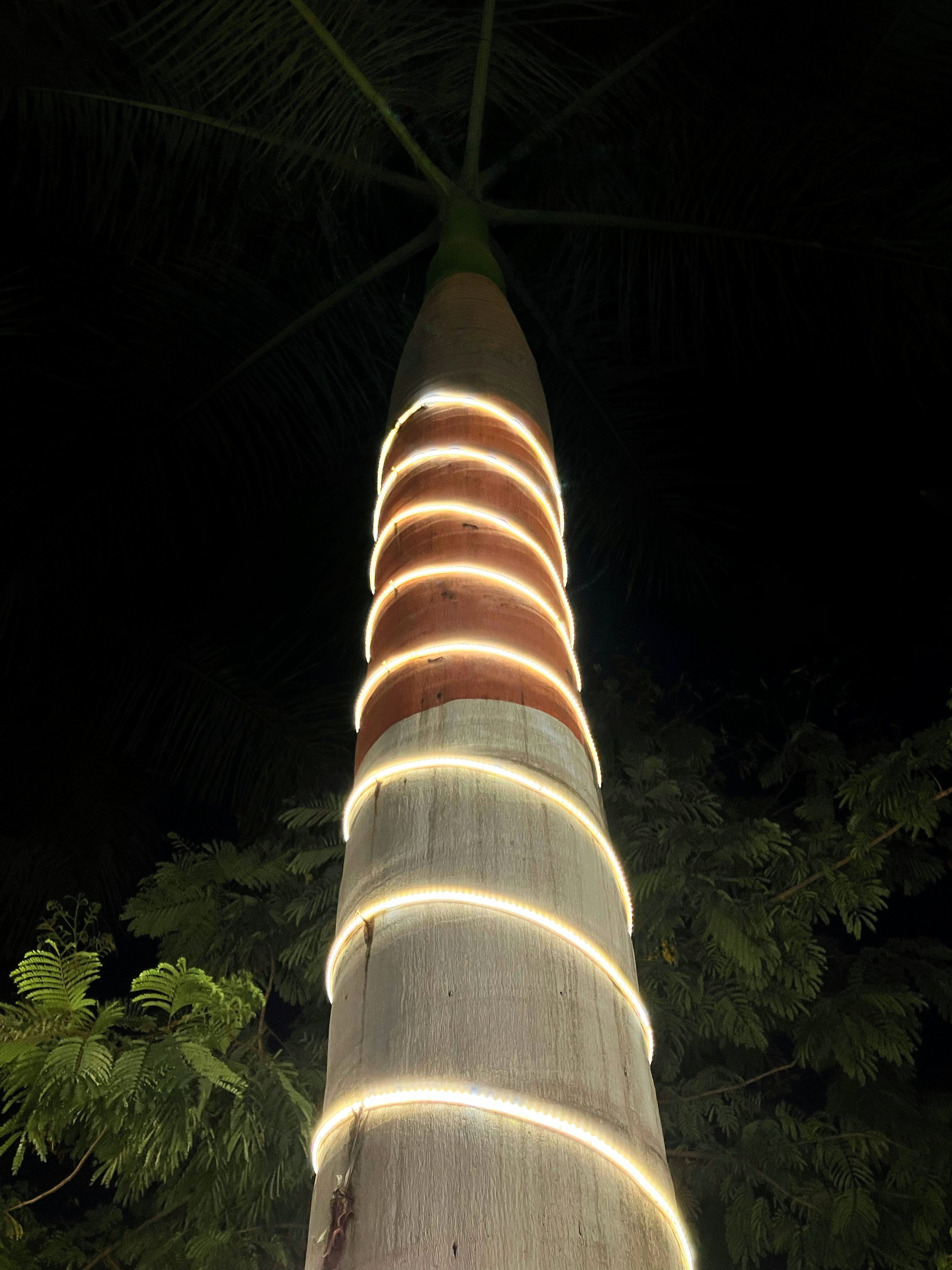 Night photography 📷