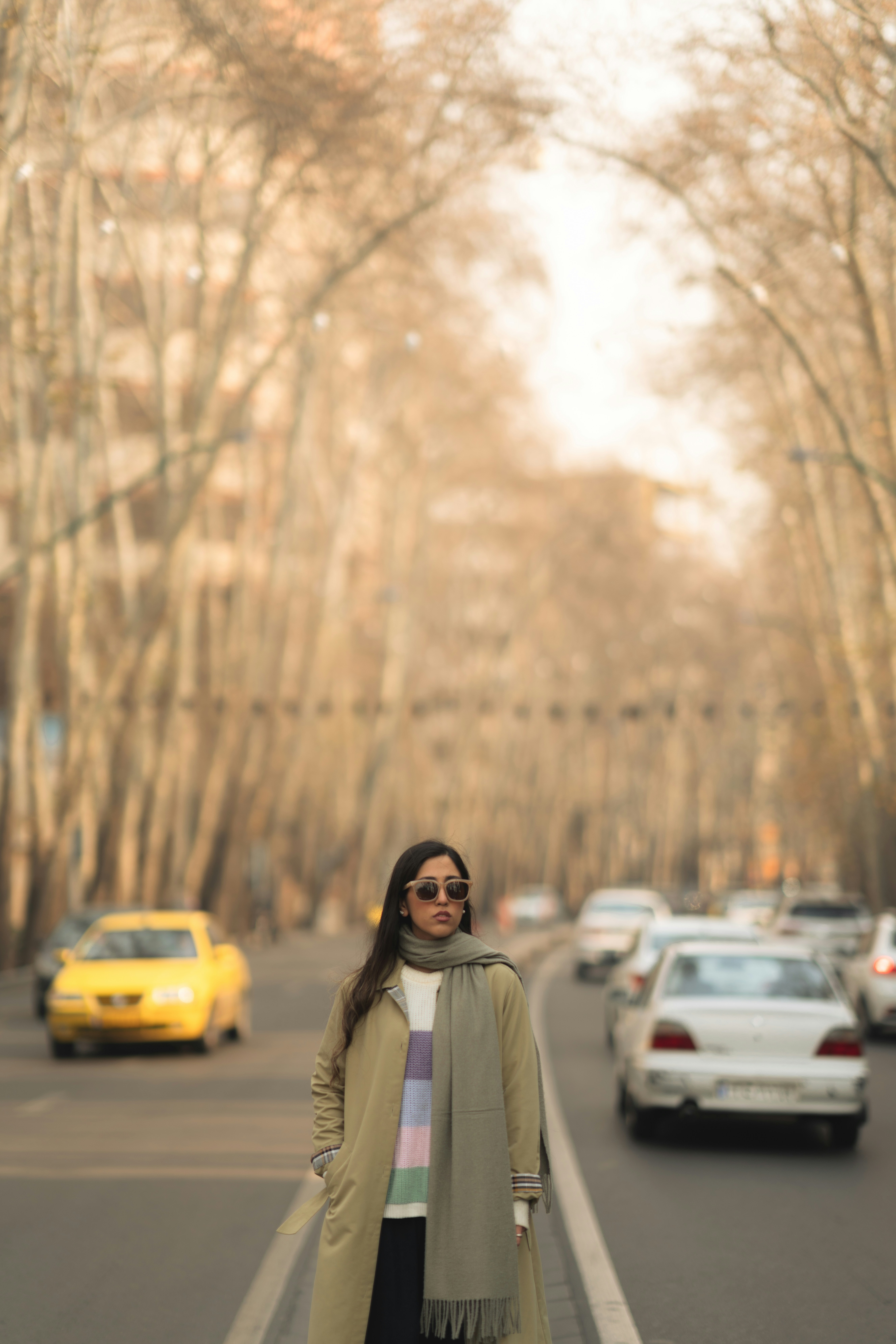 Amber Avenue: A lone figure strides through a sunlit, tree-lined city street