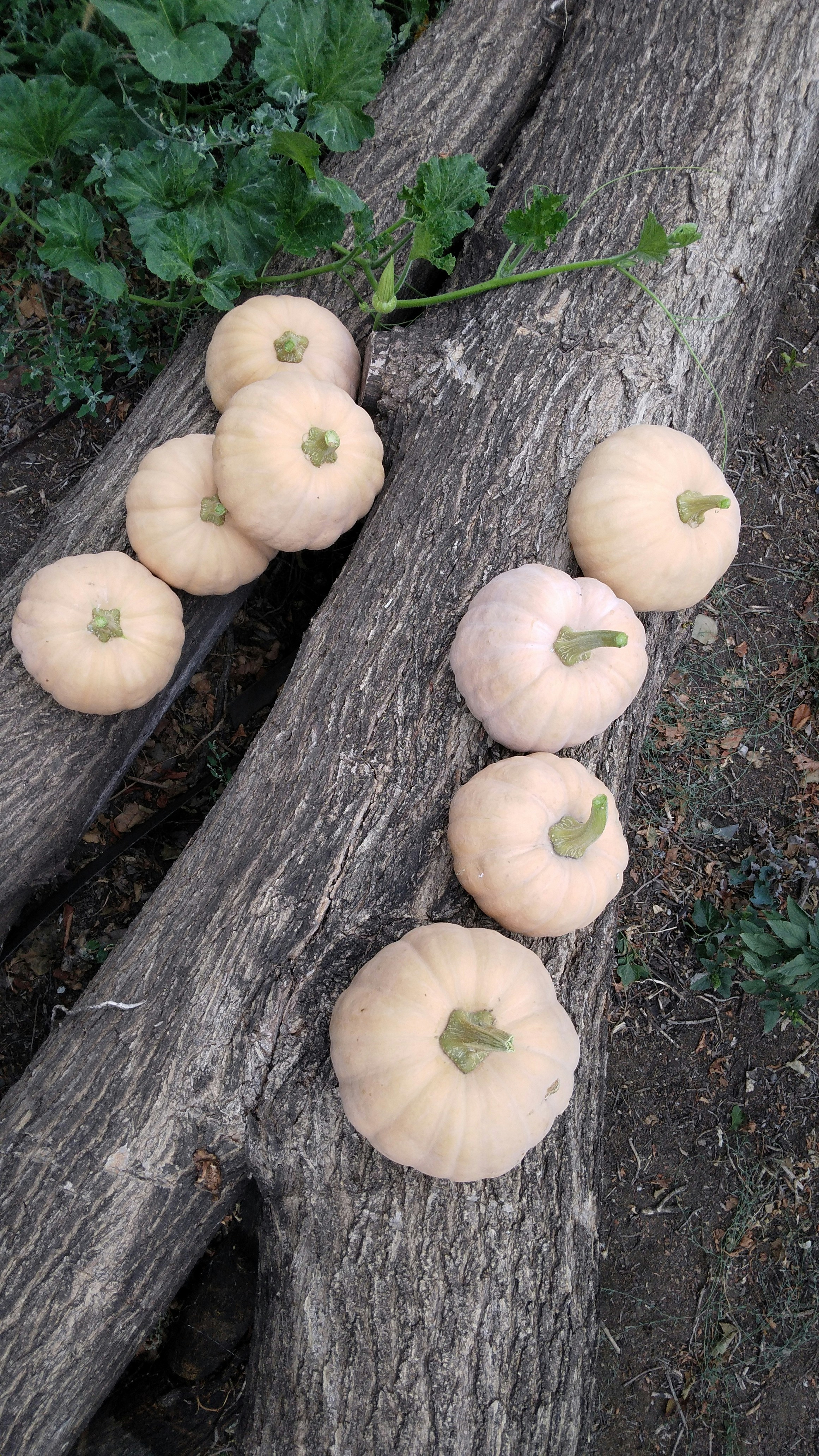 Photo by Revaz Zatuashvili with Samsung Galaxy A02s