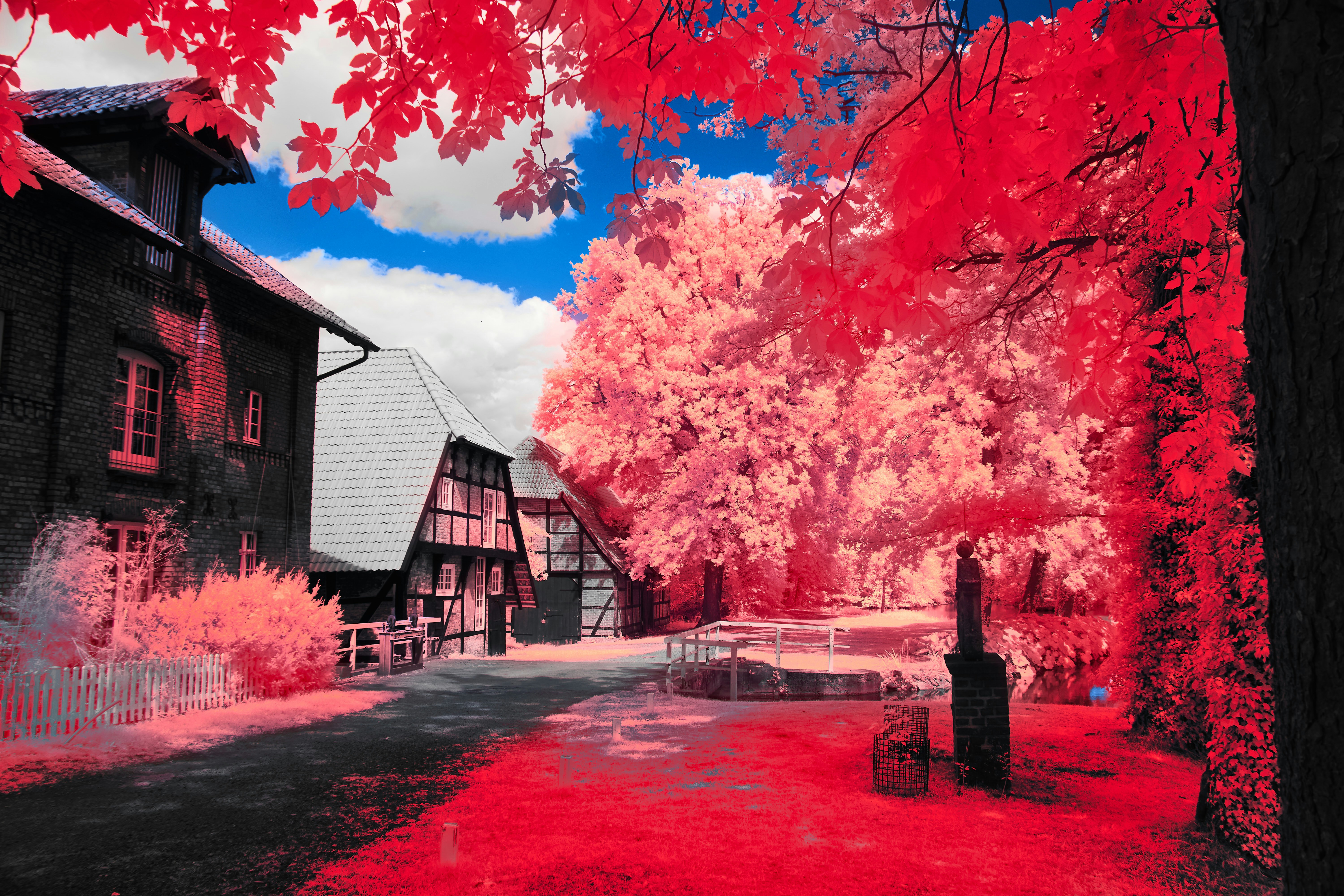 A infrared image of a red tree in front of a house photo – Free Autumn ...