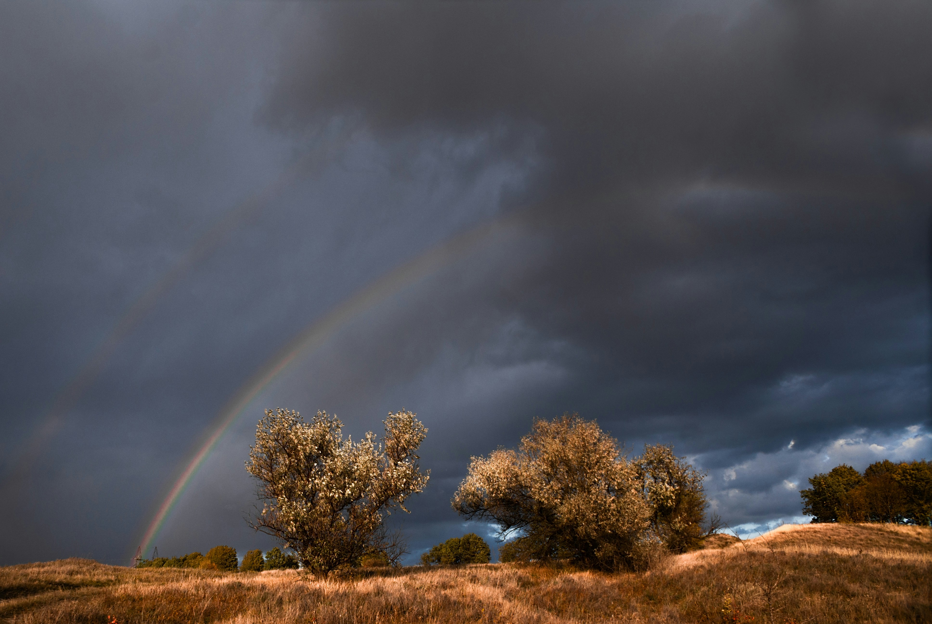 Rainbow Arc Over a Golden Hill Beneath Stormy Skies