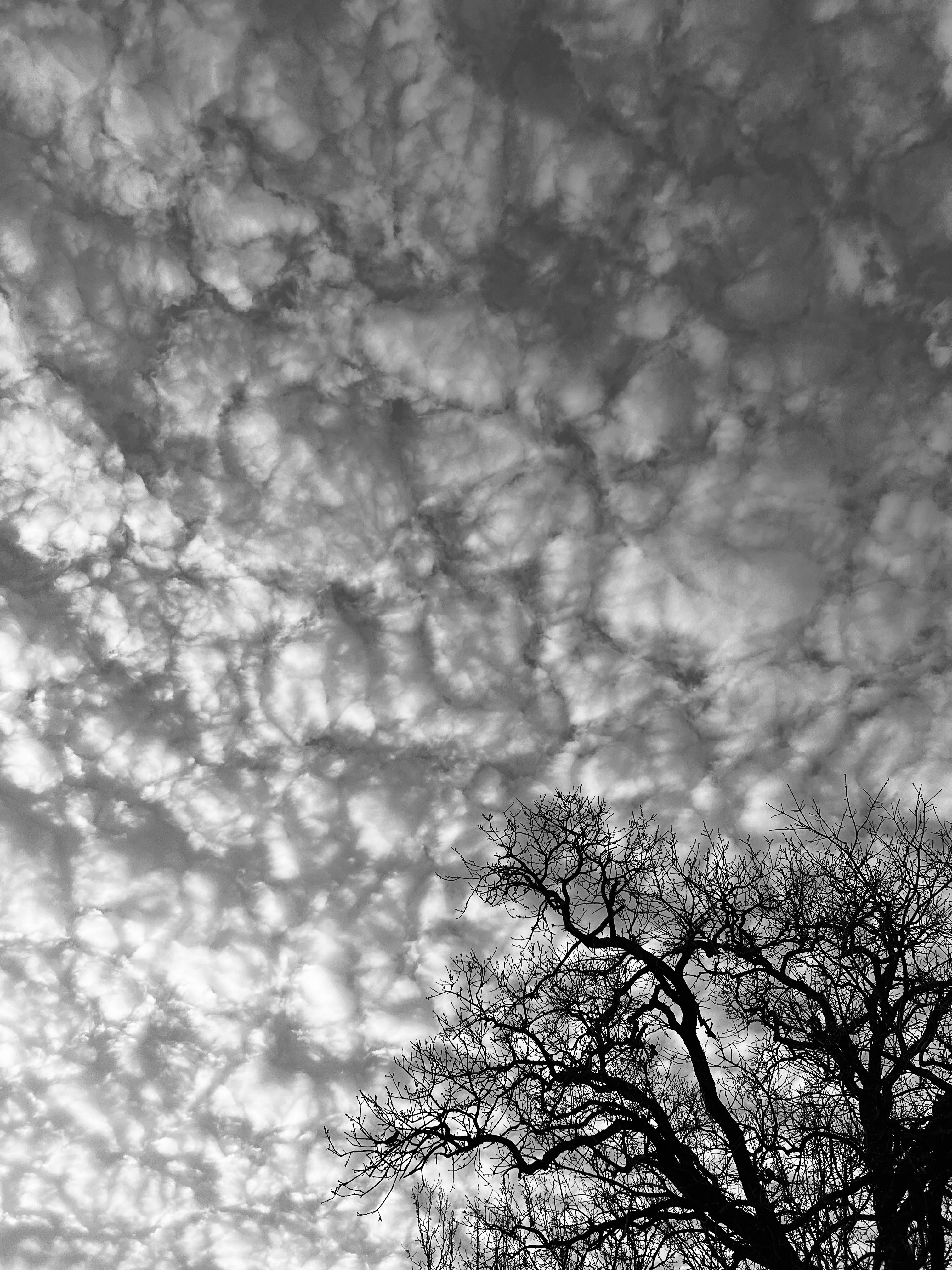 Black and white morning sky